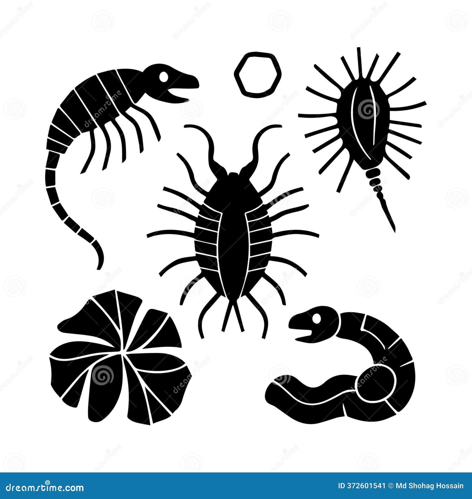 Rotifer Sea Plankton Cartoon Character Flat Vector Illustration ...