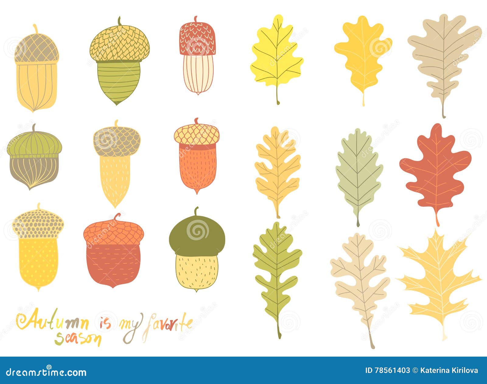 Collection of Various Acorns and Leaves Stock Illustration ...
