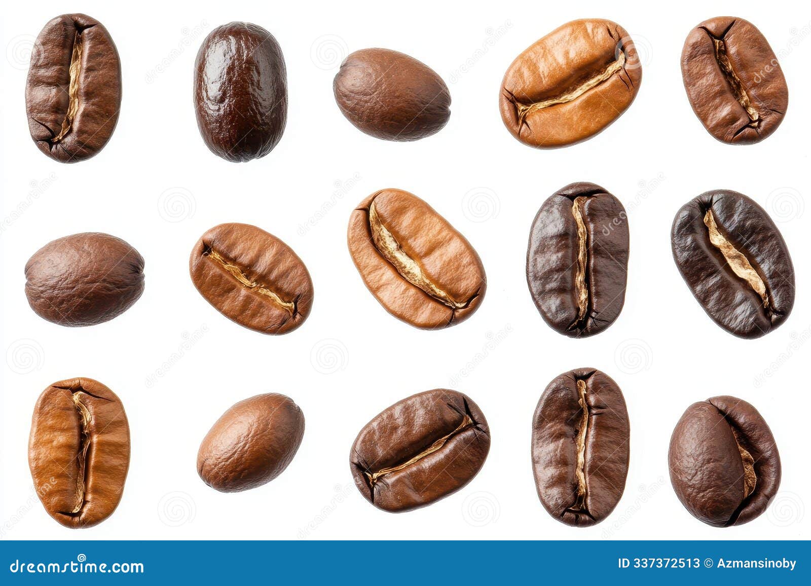 A Collection of Various Coffee Beans Showcasing Different Roasts and ...