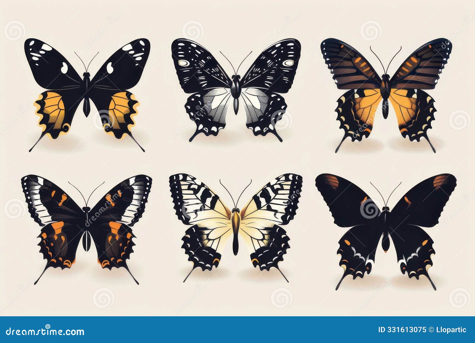 A Collection of Various Colorful Butterfly Species Displayed in a Grid ...
