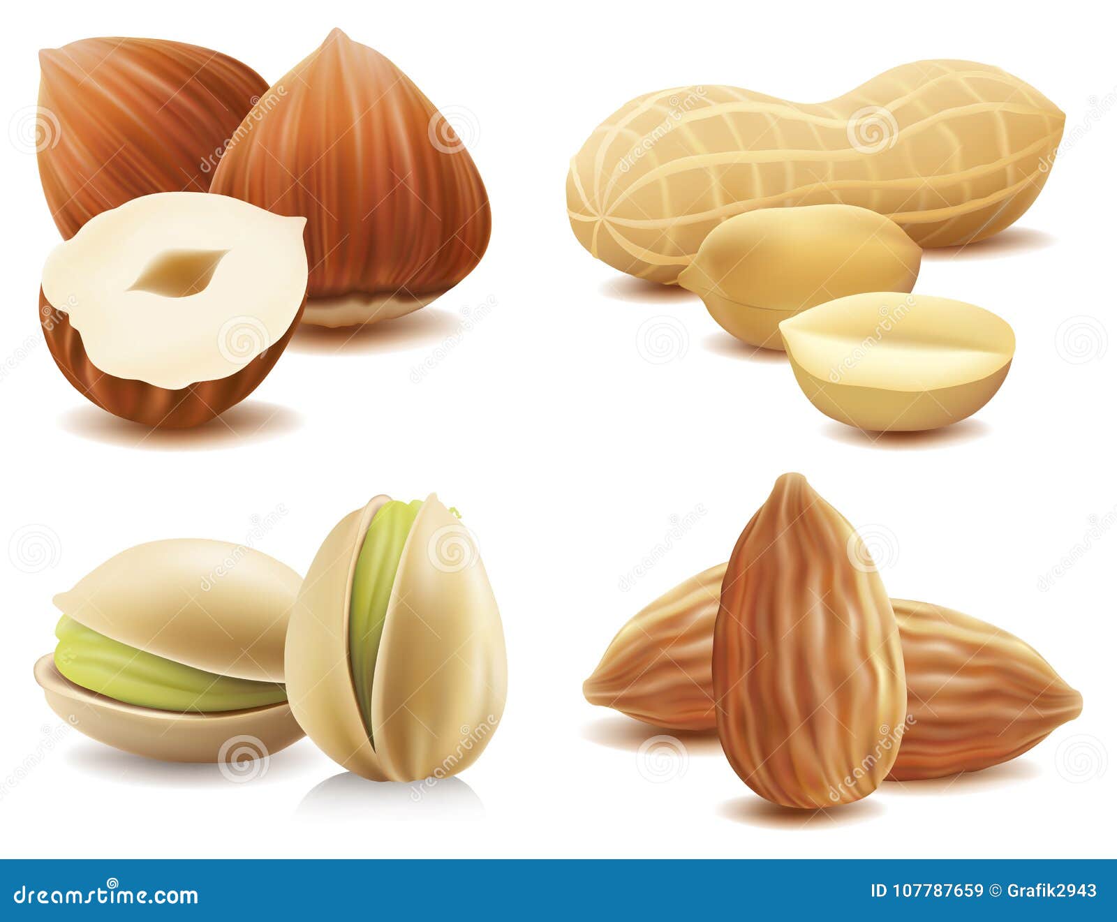 Collection of Various Nuts on Isolated on White Stock Illustration ...