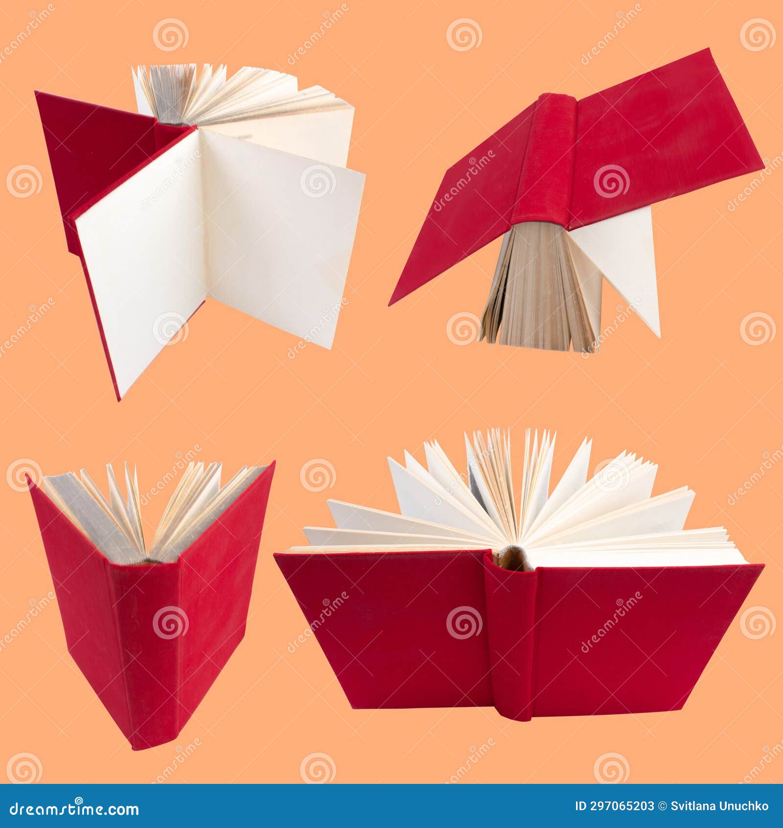 Collection of Various Red Books Isolated on Orange Background. Each One ...