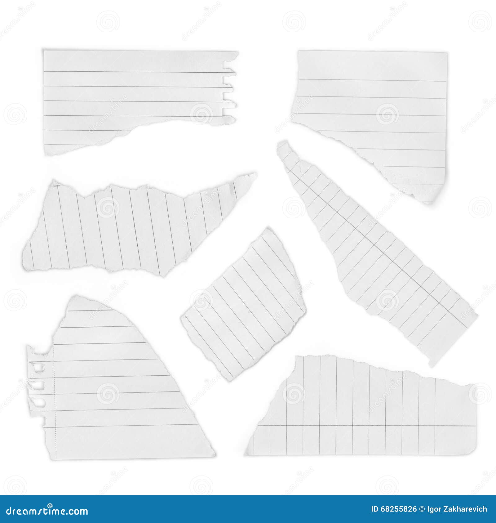 Collection of Various Ripped Pieces of Paper Stock Photo - Image of ...