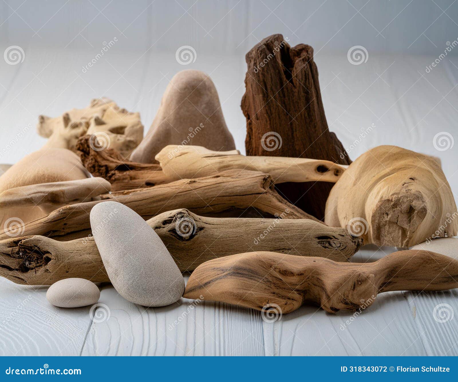 A Collection of Various Shaped and Sized Driftwood Pieces Isolated on a ...