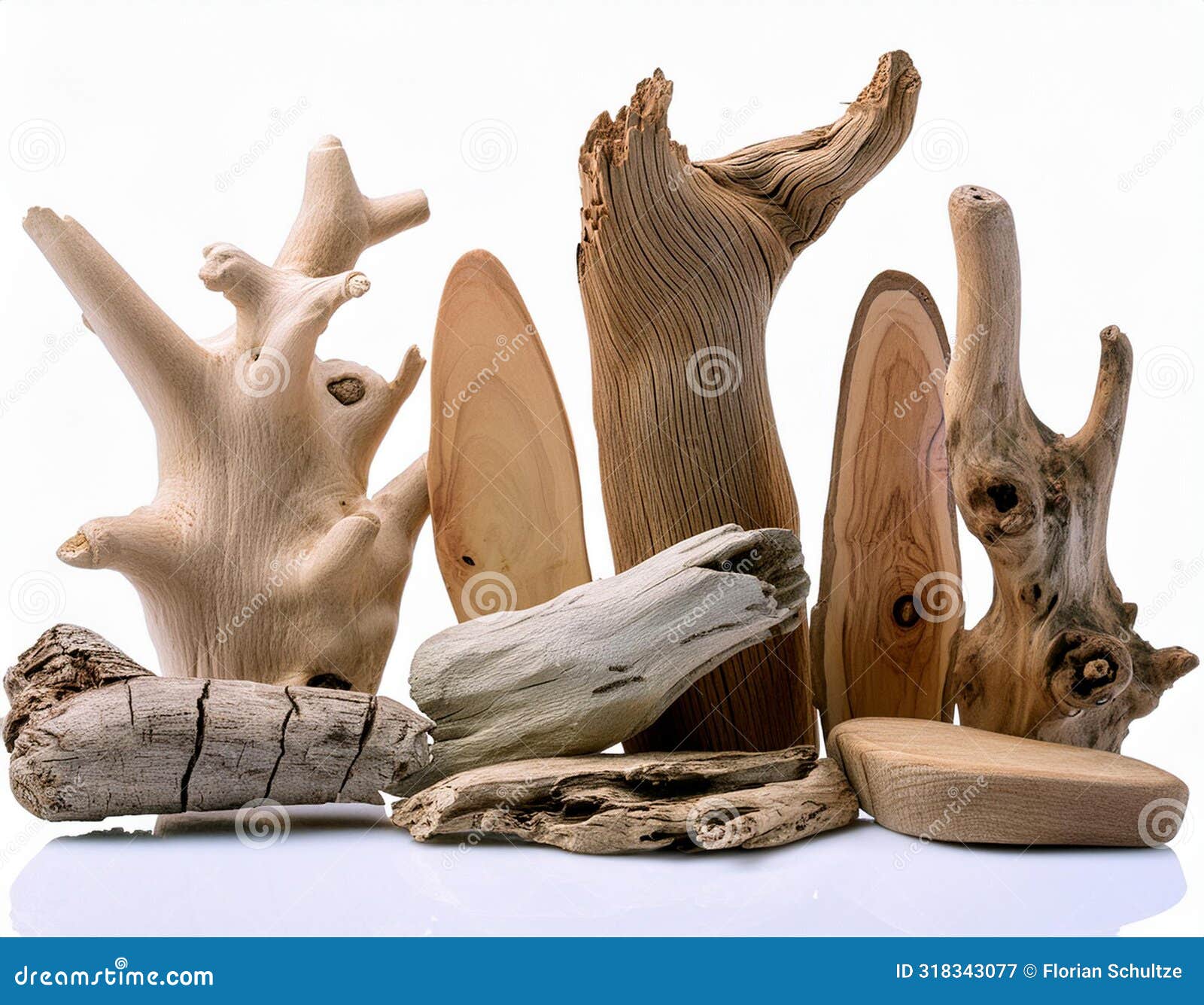 A Collection of Various Shaped and Sized Driftwood Pieces Isolated on a ...