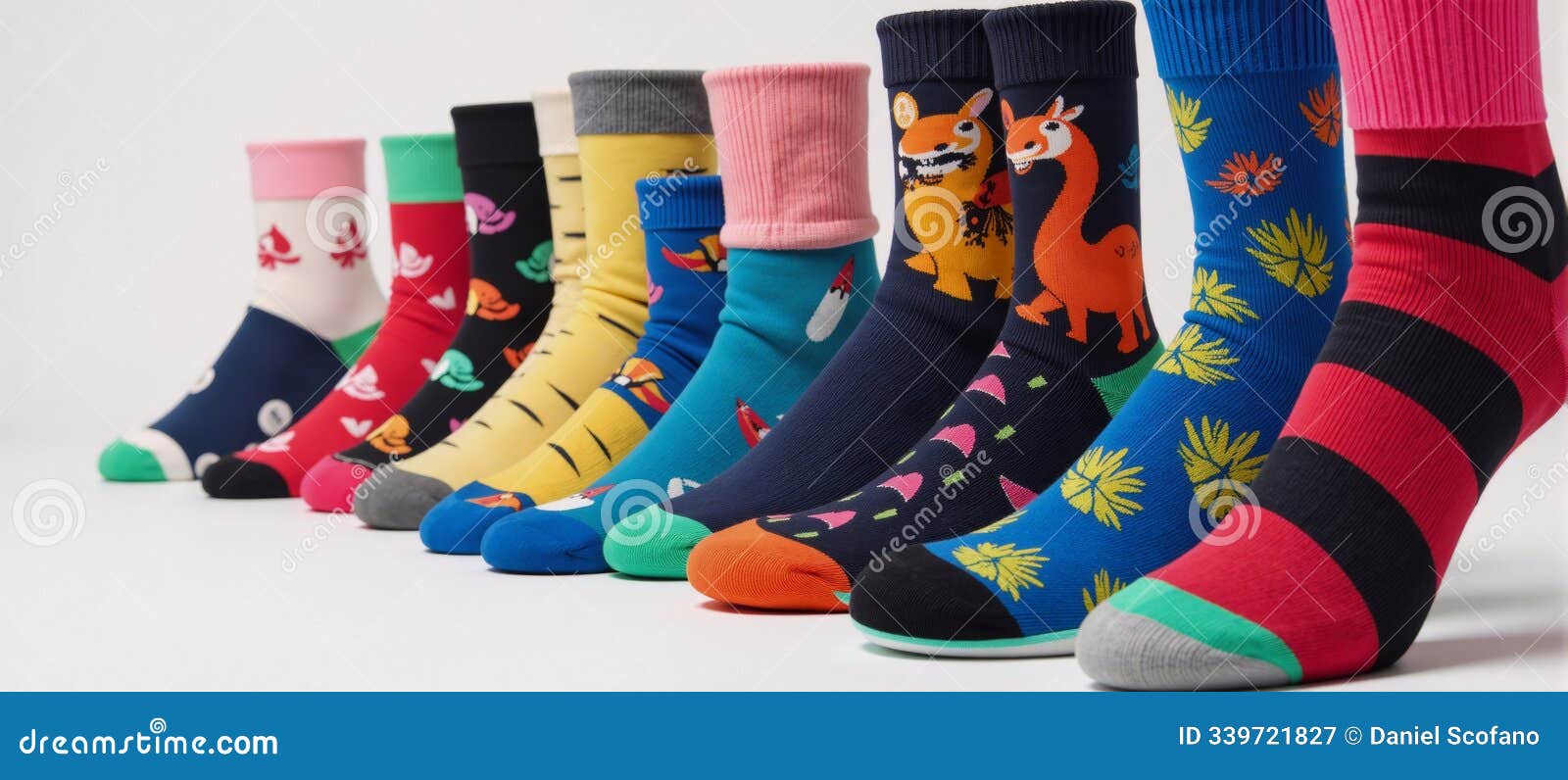 Set Of Various Socks. Different Types Of Women's Socks, Tights And ...