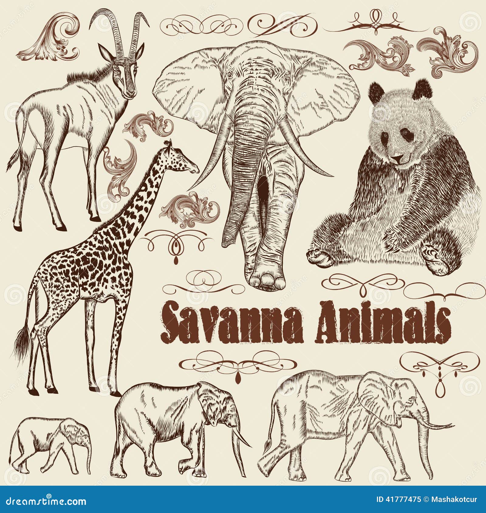 Collection of Vector Animals African Savanna Stock Vector ...