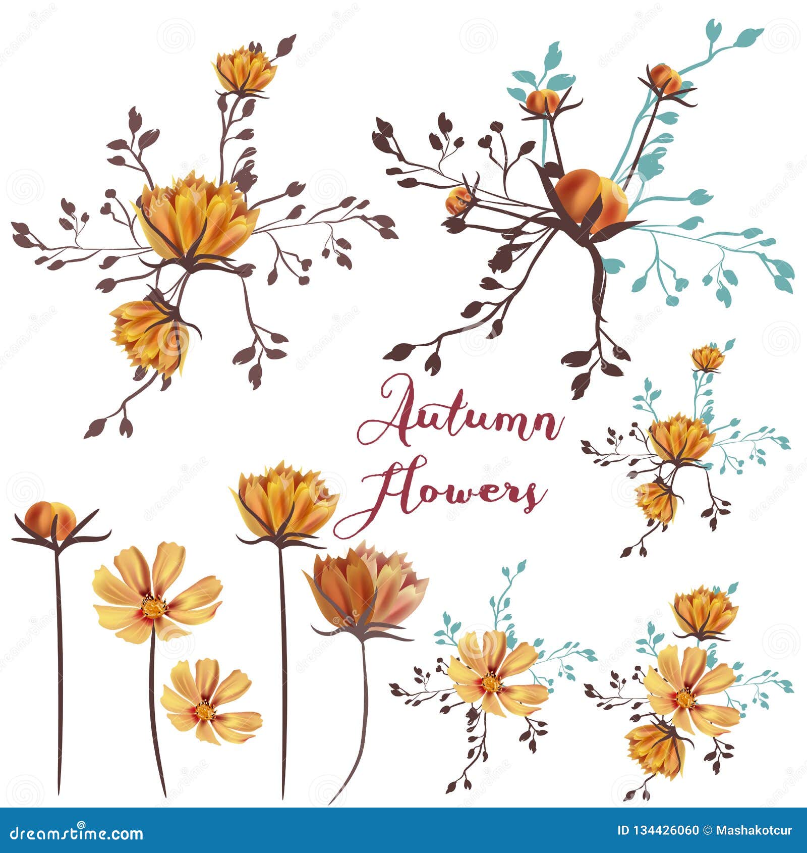 Collection of Vector Autumn Flowers for Design Stock Vector ...