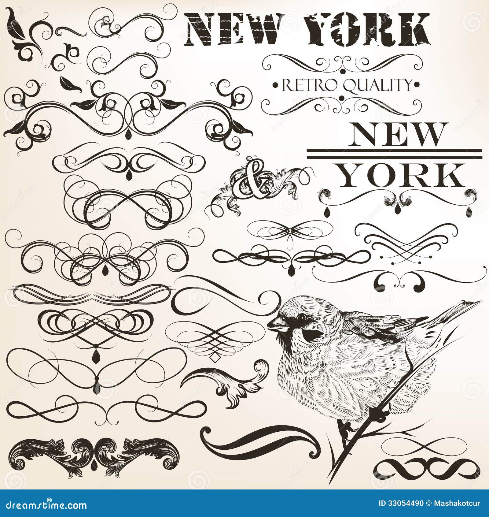 Collection of Vector Calligraphic Design Elements for Design Stock ...