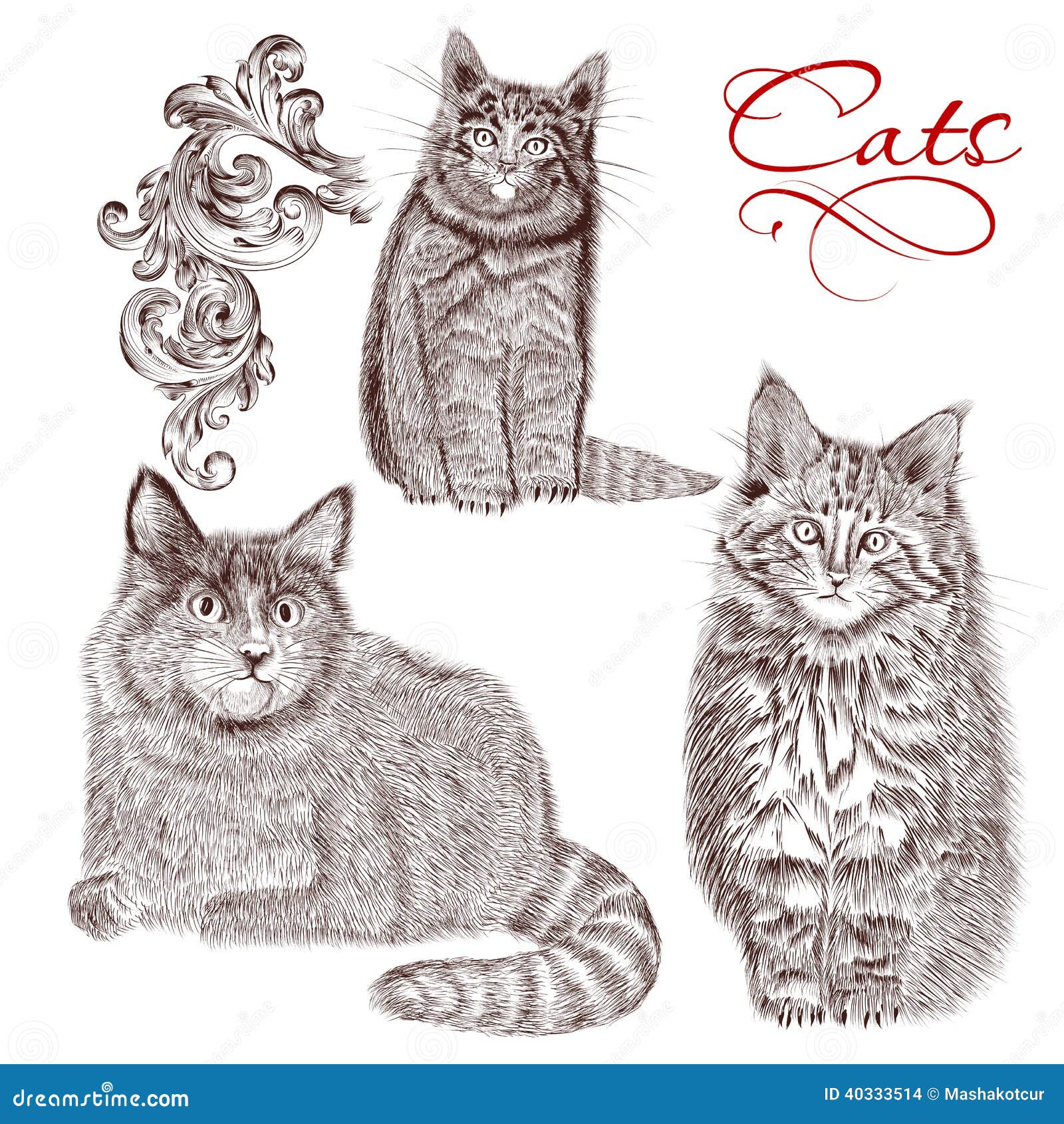 Collection of Vector Detailed Hand Drawn Cats Stock Vector ...