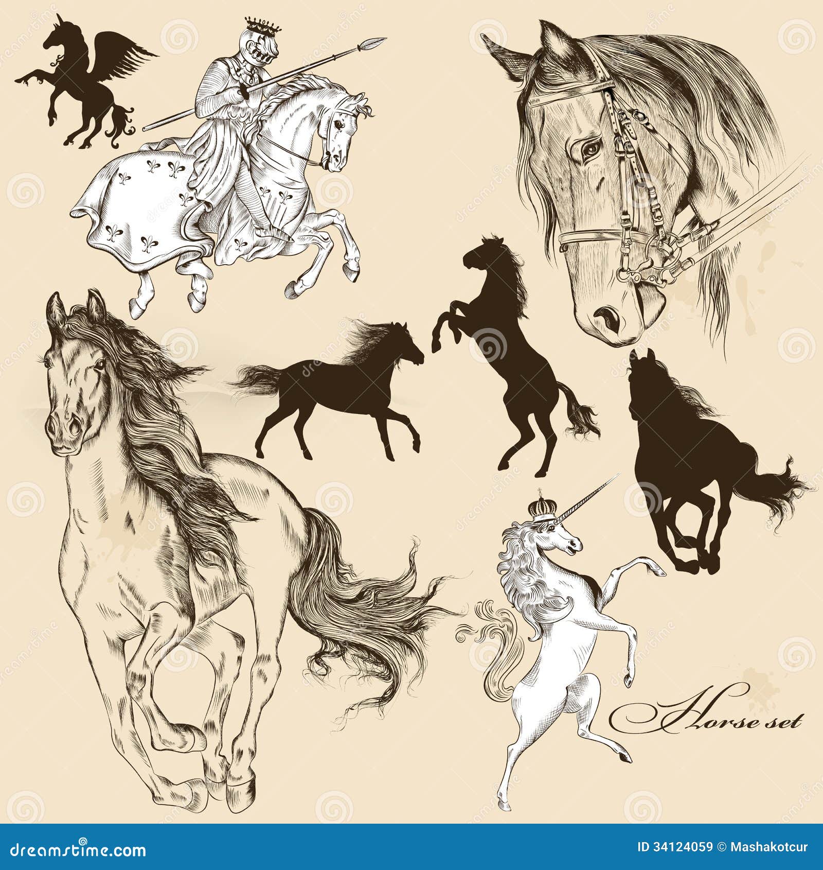 Collection of Vector Detailed Horses for Design Stock Vector ...
