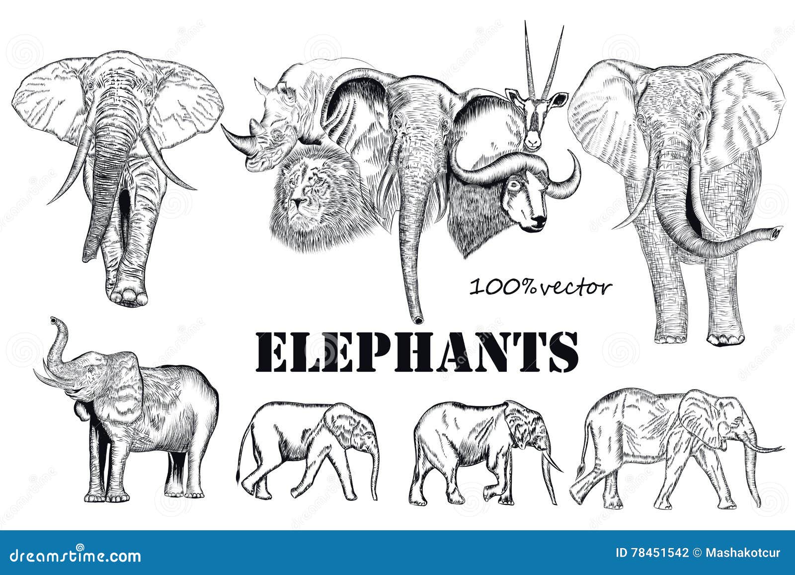 Collection of Vector Engraved African Elephants Animals Stock Vector ...