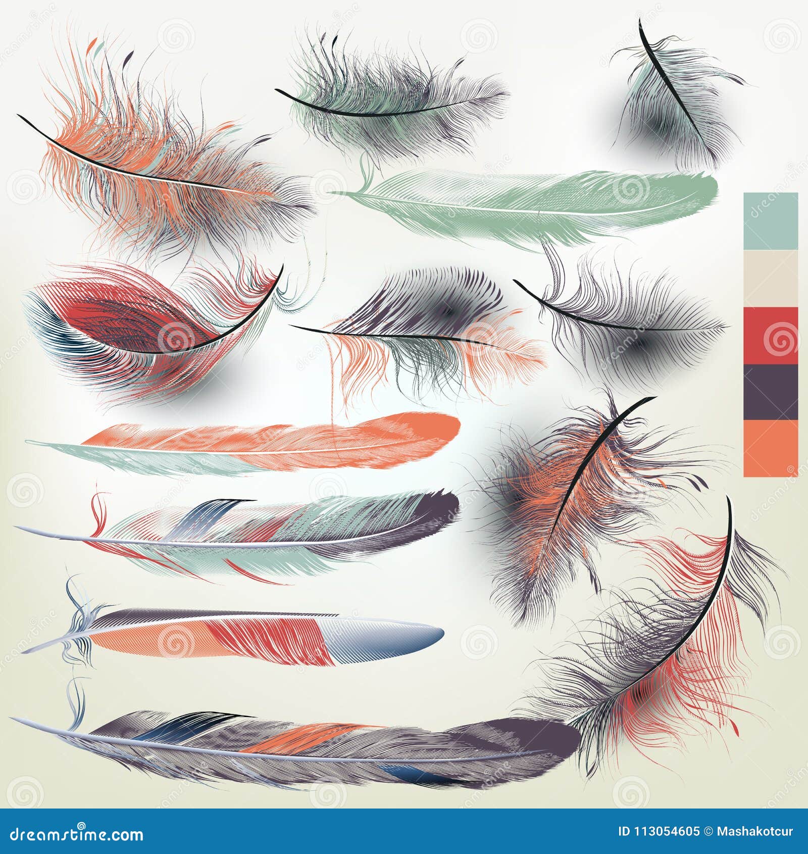 Collection of Vector Feathers Stock Vector - Illustration of pattern ...