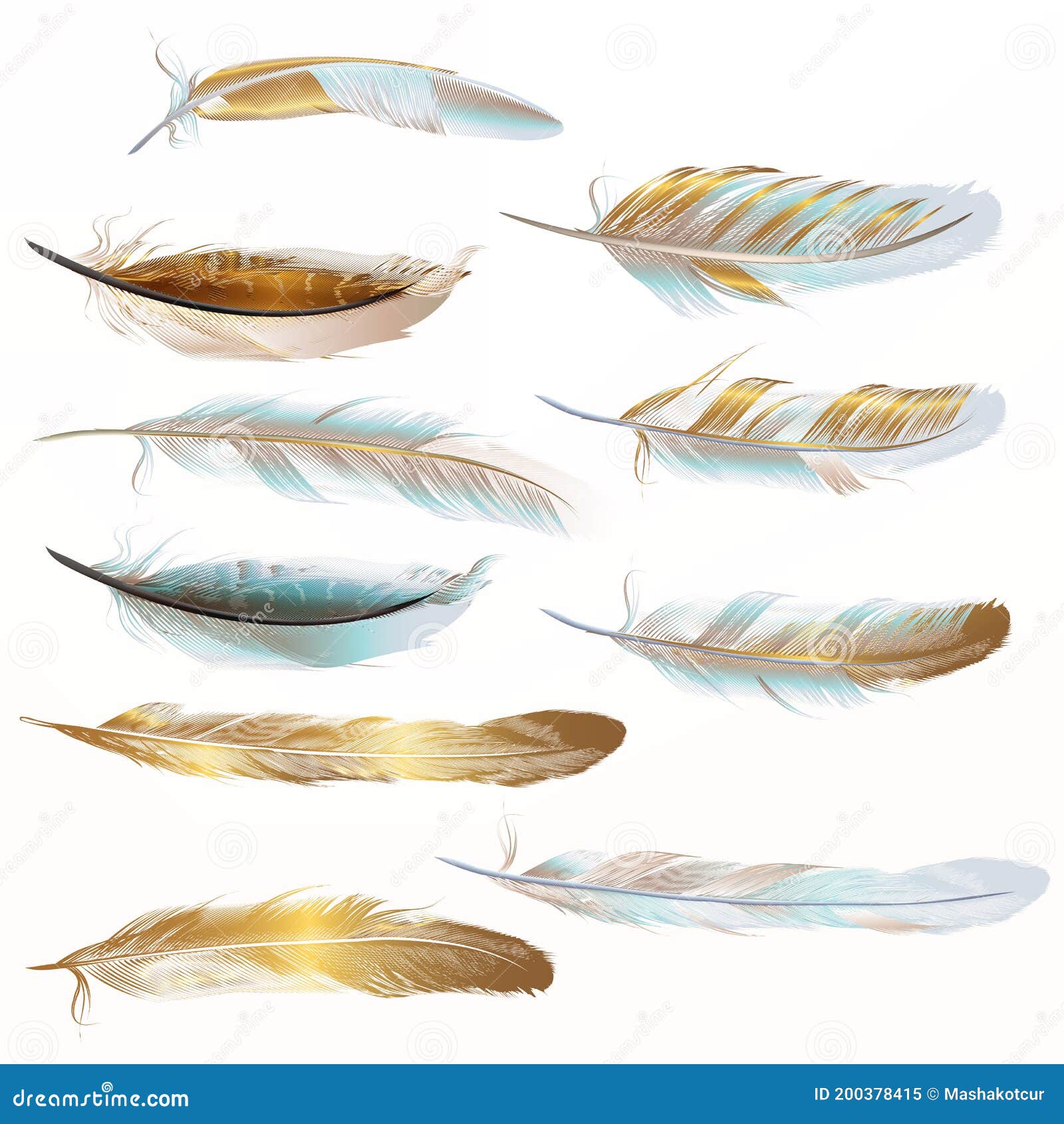 Collection of Vector Golden Feathers for Design in Realistic Style ...