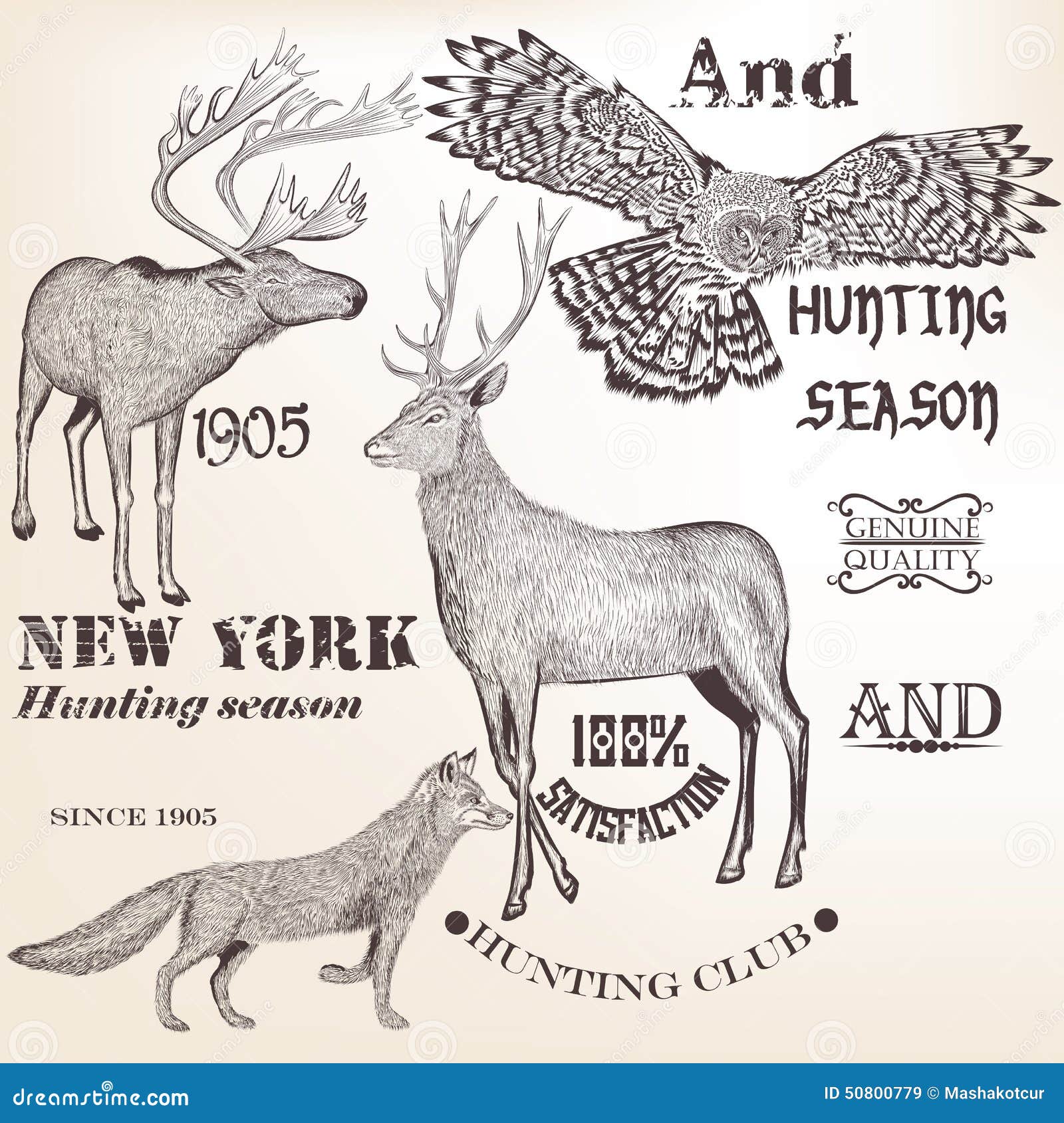 Collection of Vector Hand Drawn Animals in Vintage Style Stock Vector ...