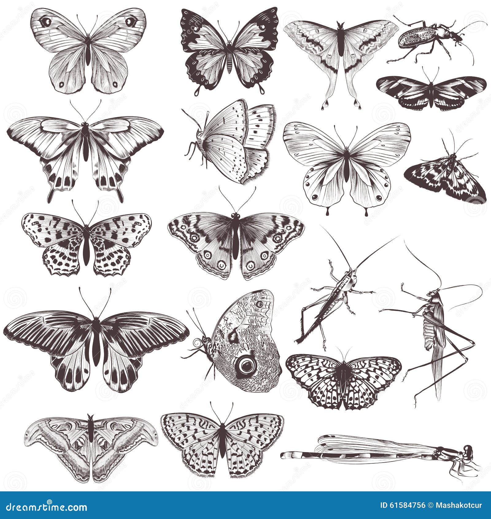 Collection of Vector Hand Drawn Butterflies Stock Vector - Illustration ...