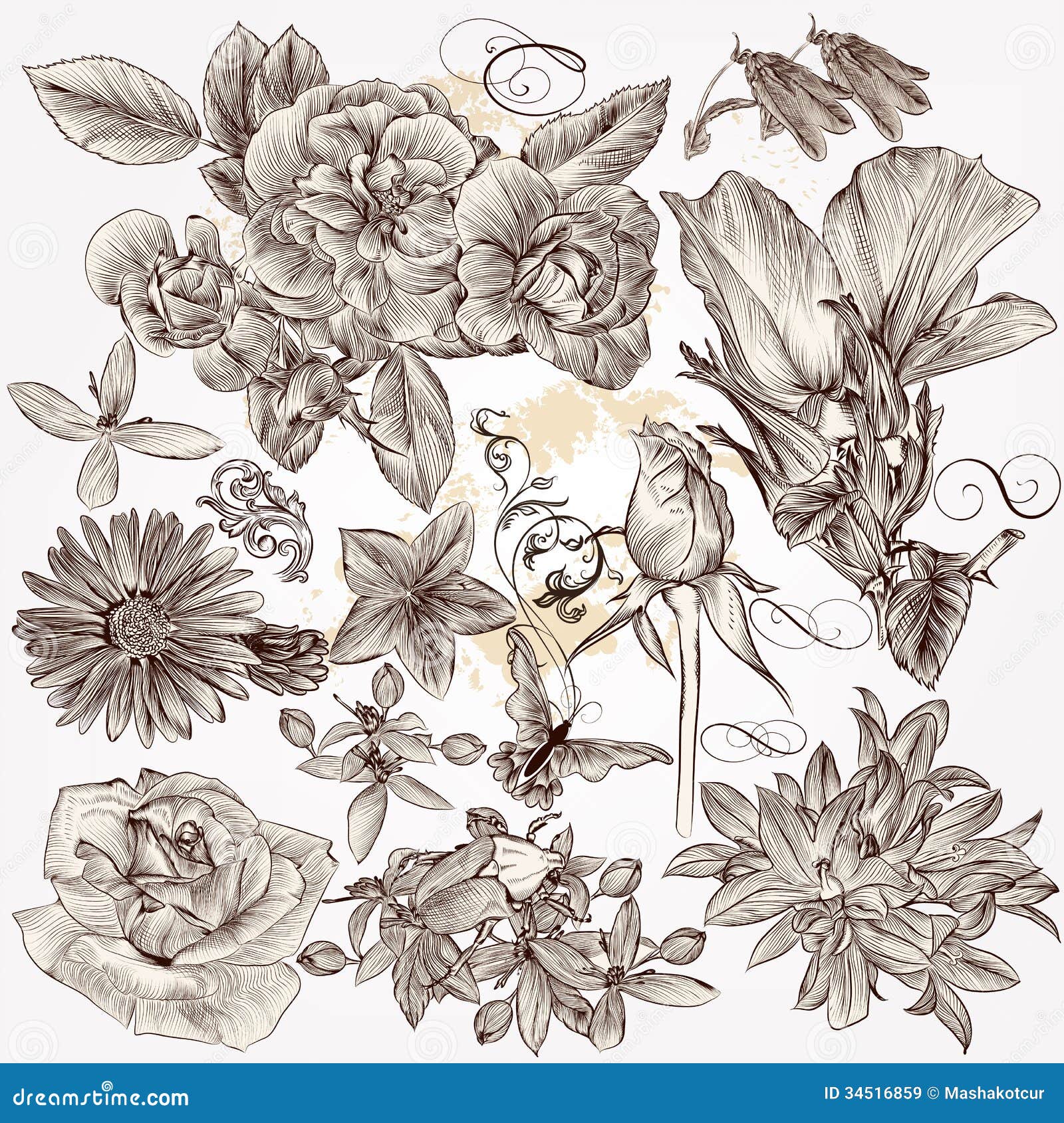 Collection of Vector Hand Drawn Detailed Flowers for Design Stock ...