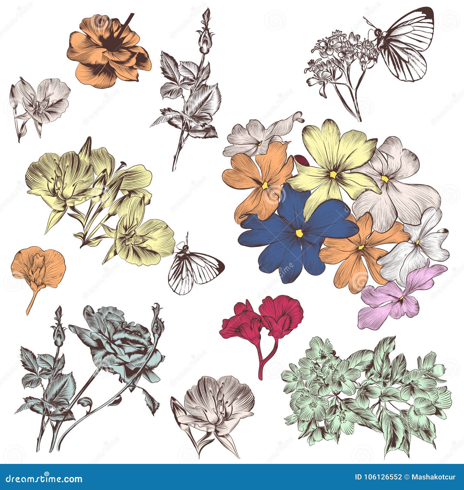 Collection of Vector Hand Drawn Flowers Stock Vector - Illustration of ...