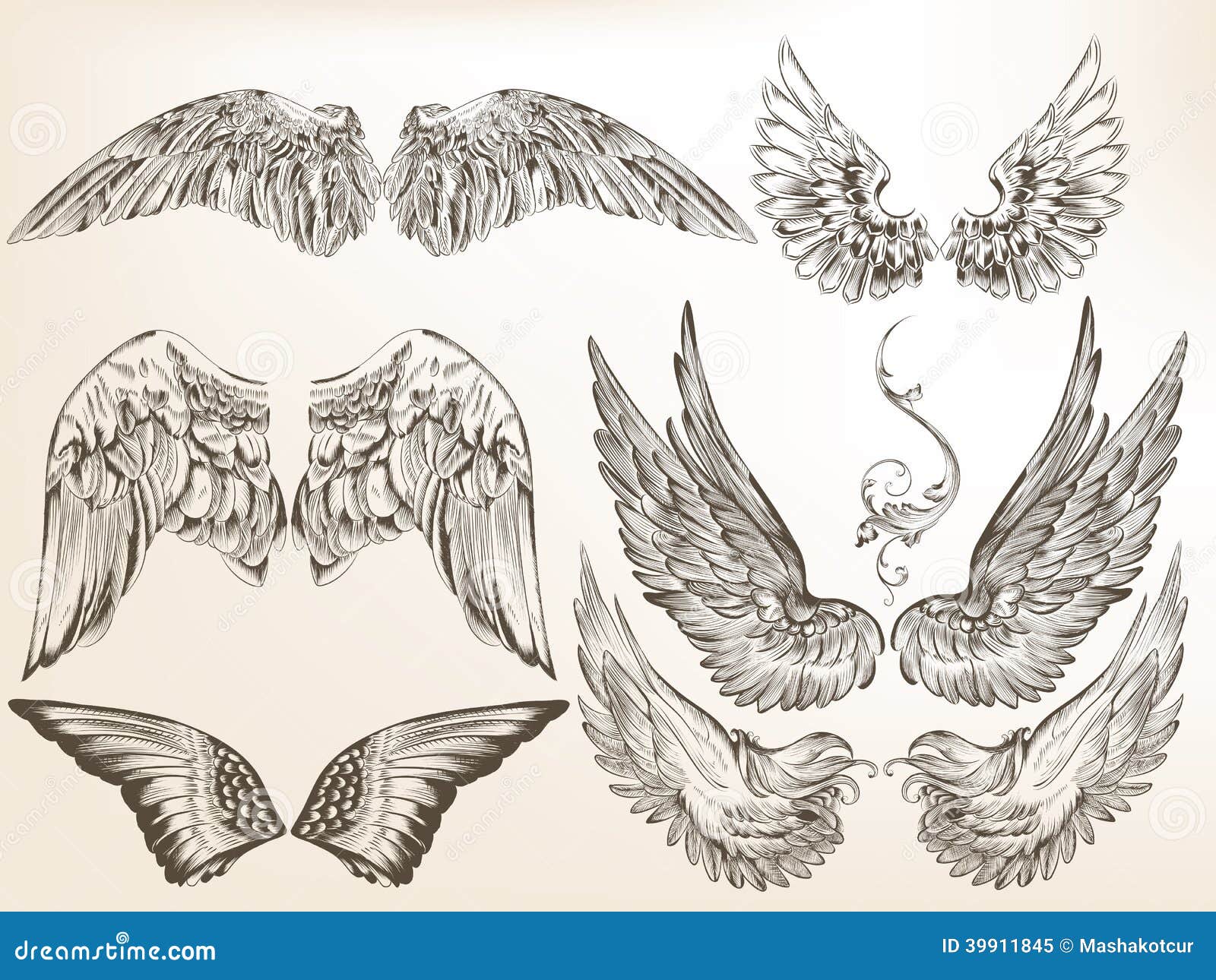 Collection of Vector Hand Drawn Wings for Design Stock Vector ...