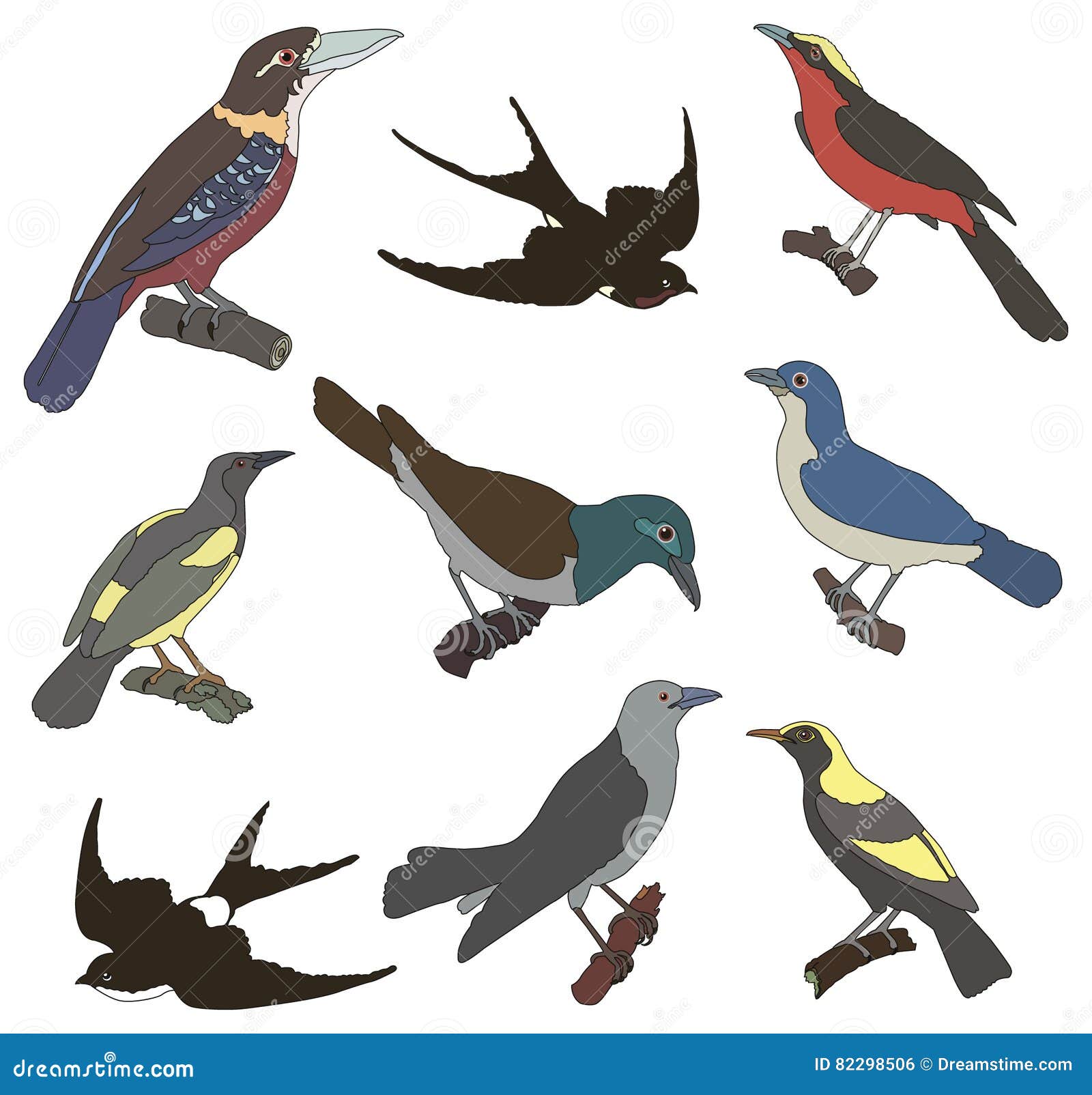 Tow Birds. Rufous-tailed Jacamar. Tropical Watercolor Illustration ...