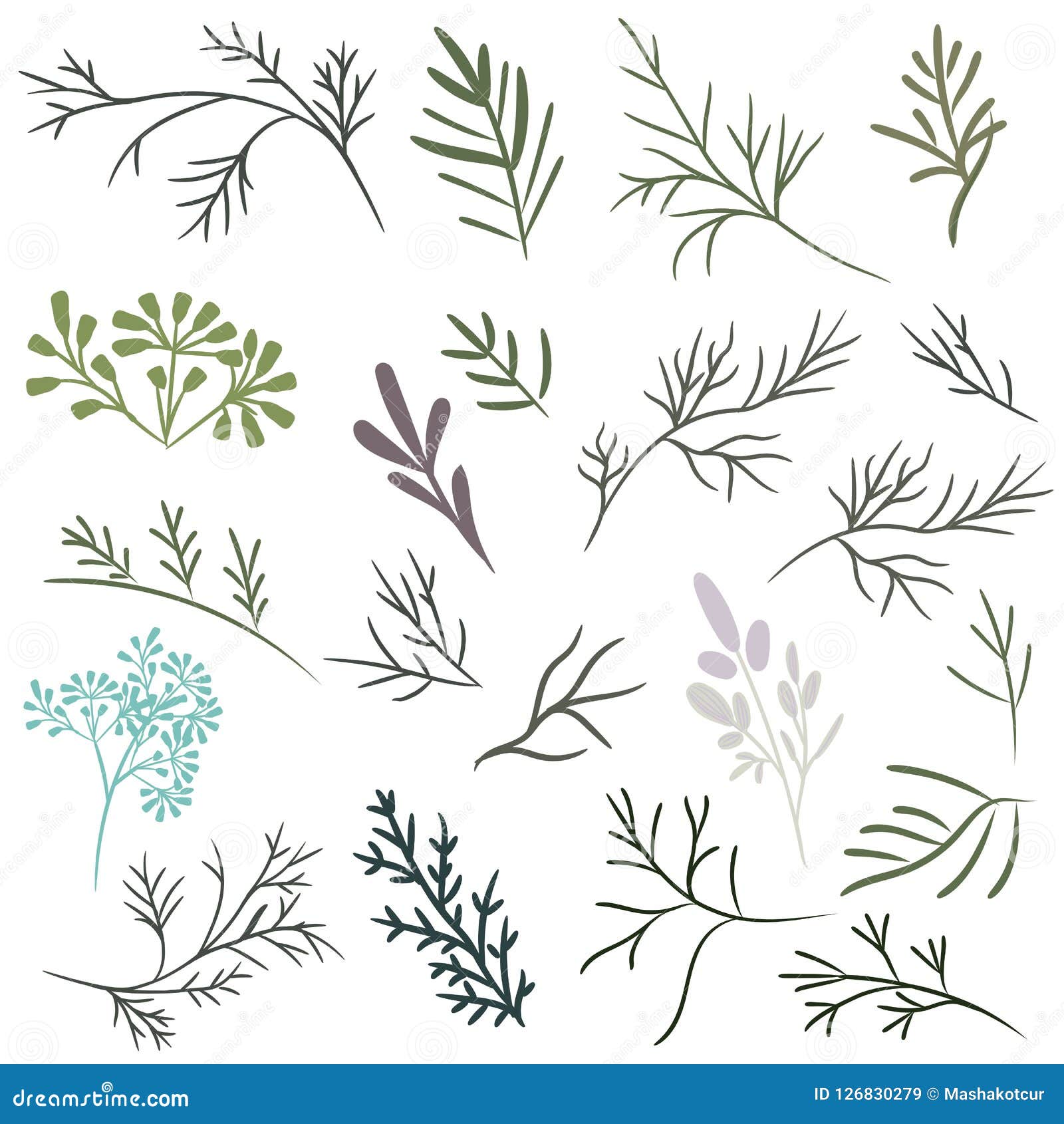 Collection of Vector Leaves for Design Stock Vector - Illustration of ...