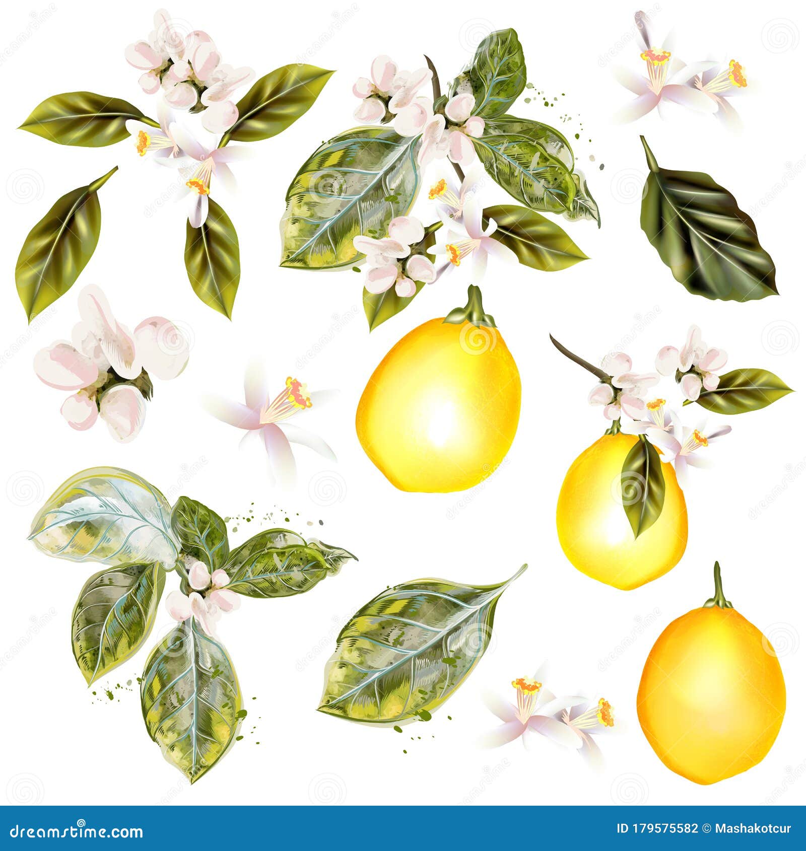 Vector Lemon Seamless Border. | CartoonDealer.com #75491569