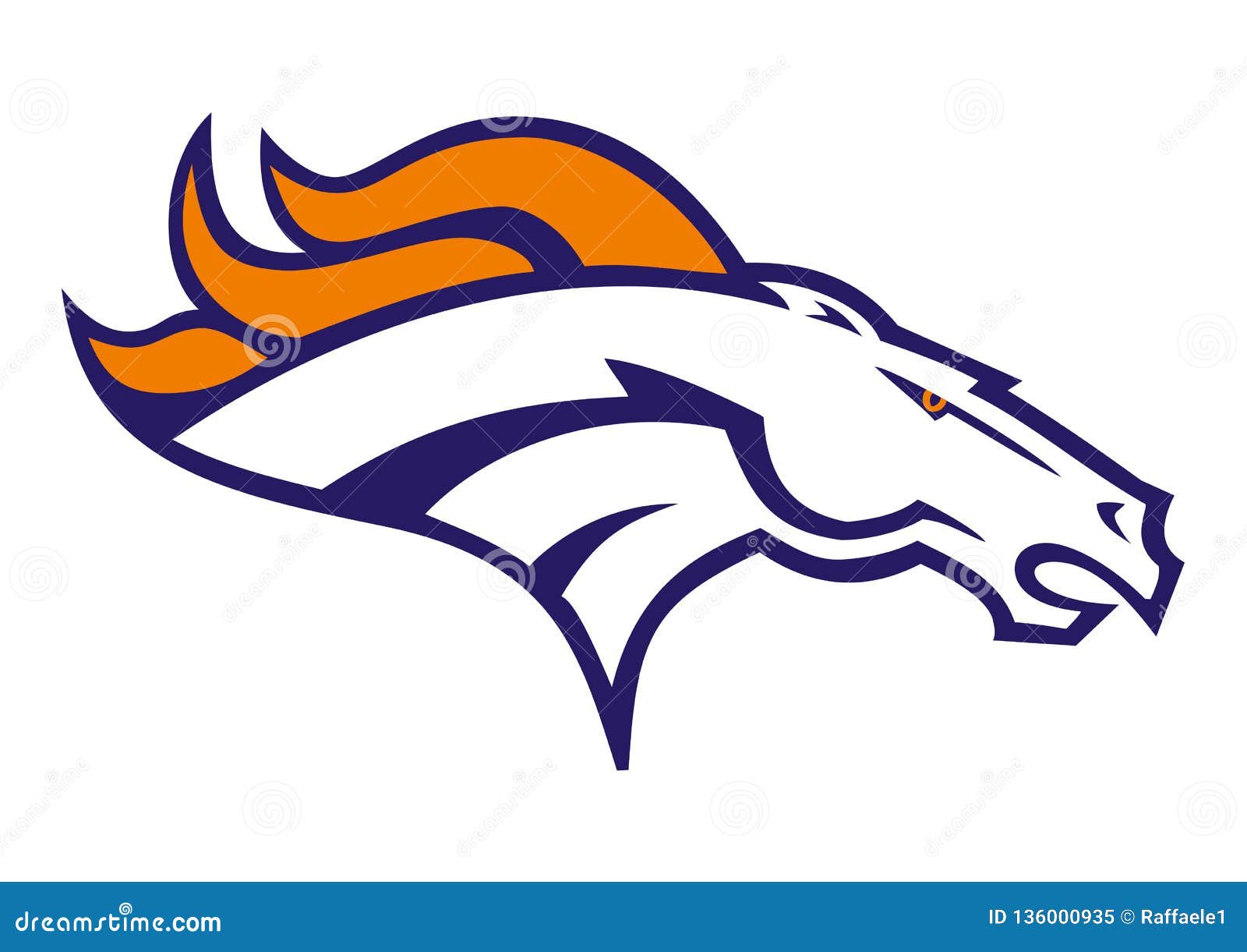 Denver bronco football store