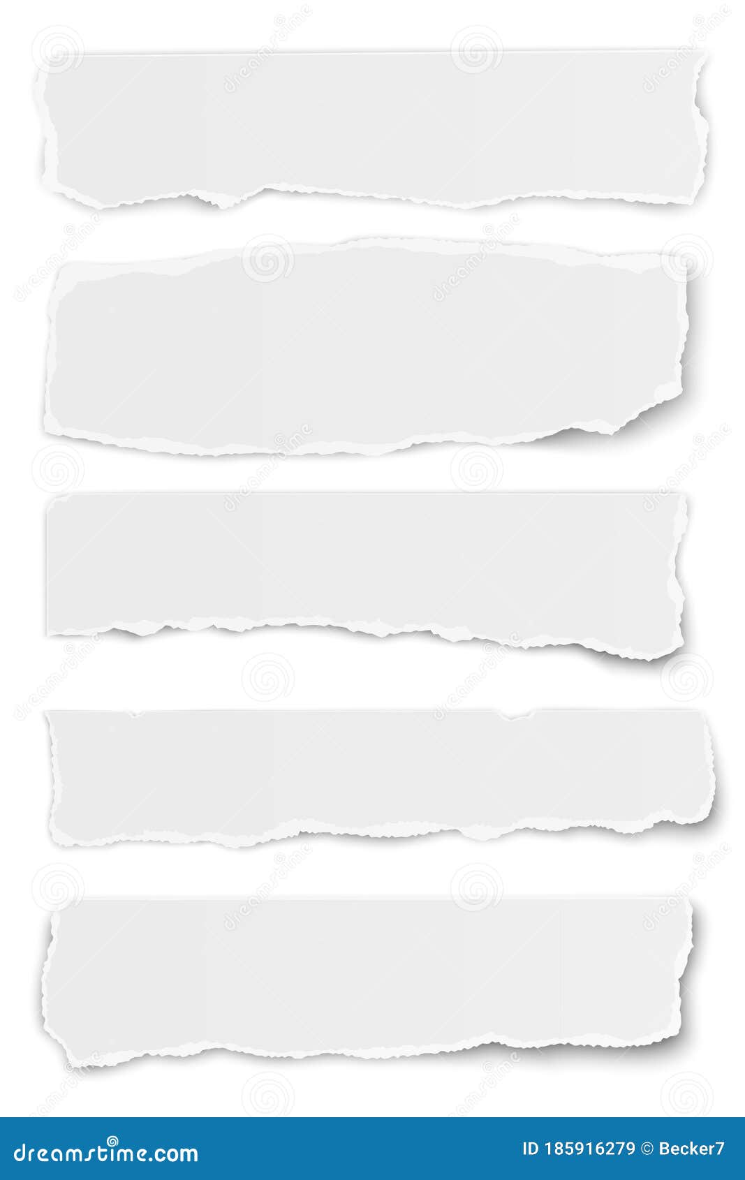 Collection of Vector Oblong Torn Paper Tears Isolated on White ...