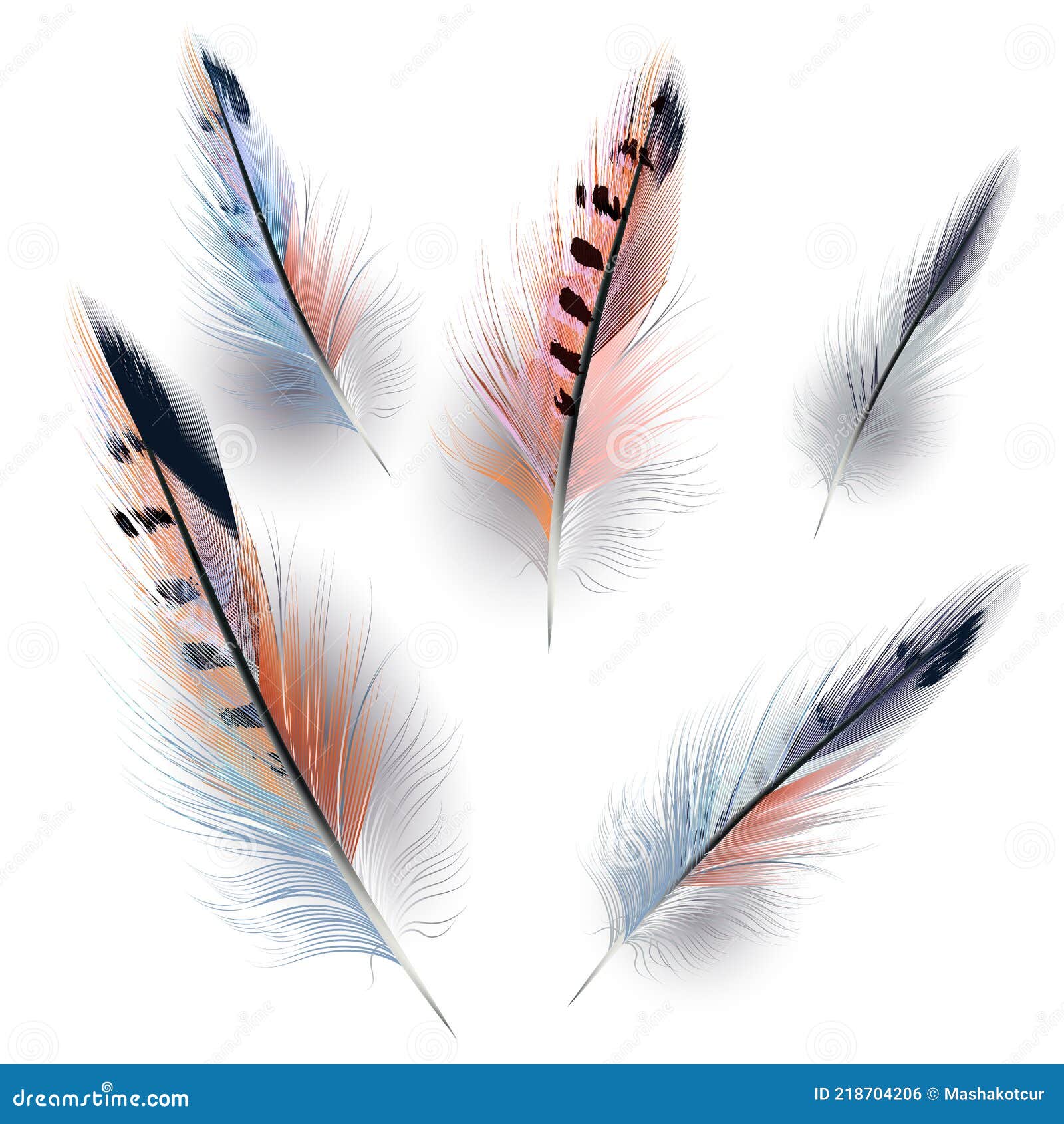 Collection of Vector Realistic Feathers for Design Stock Vector ...