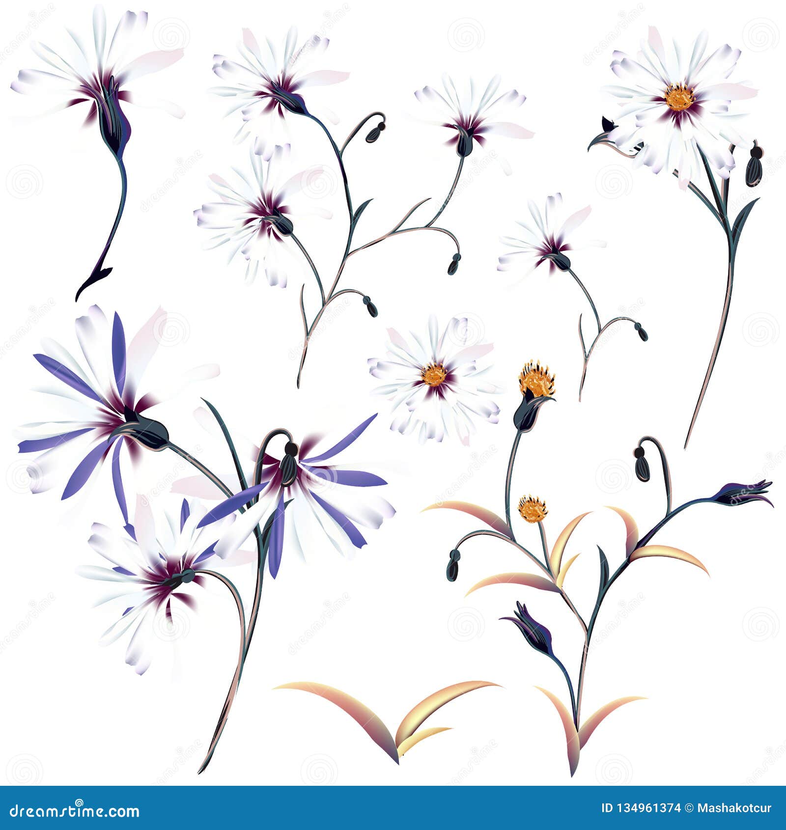 Collection of Vector Realistic Flowers for Design Stock Vector ...