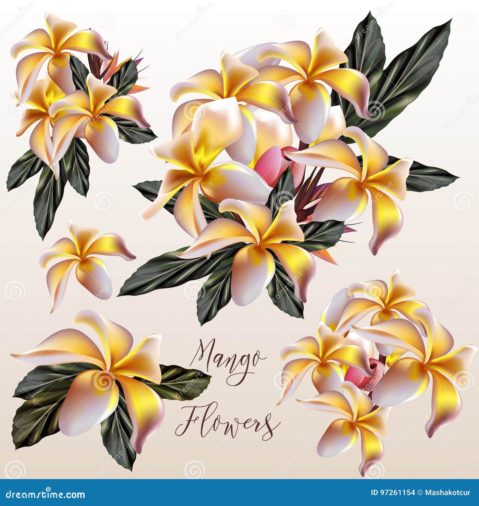 Collection of Vector Realistic Flowers Stock Vector - Illustration of ...