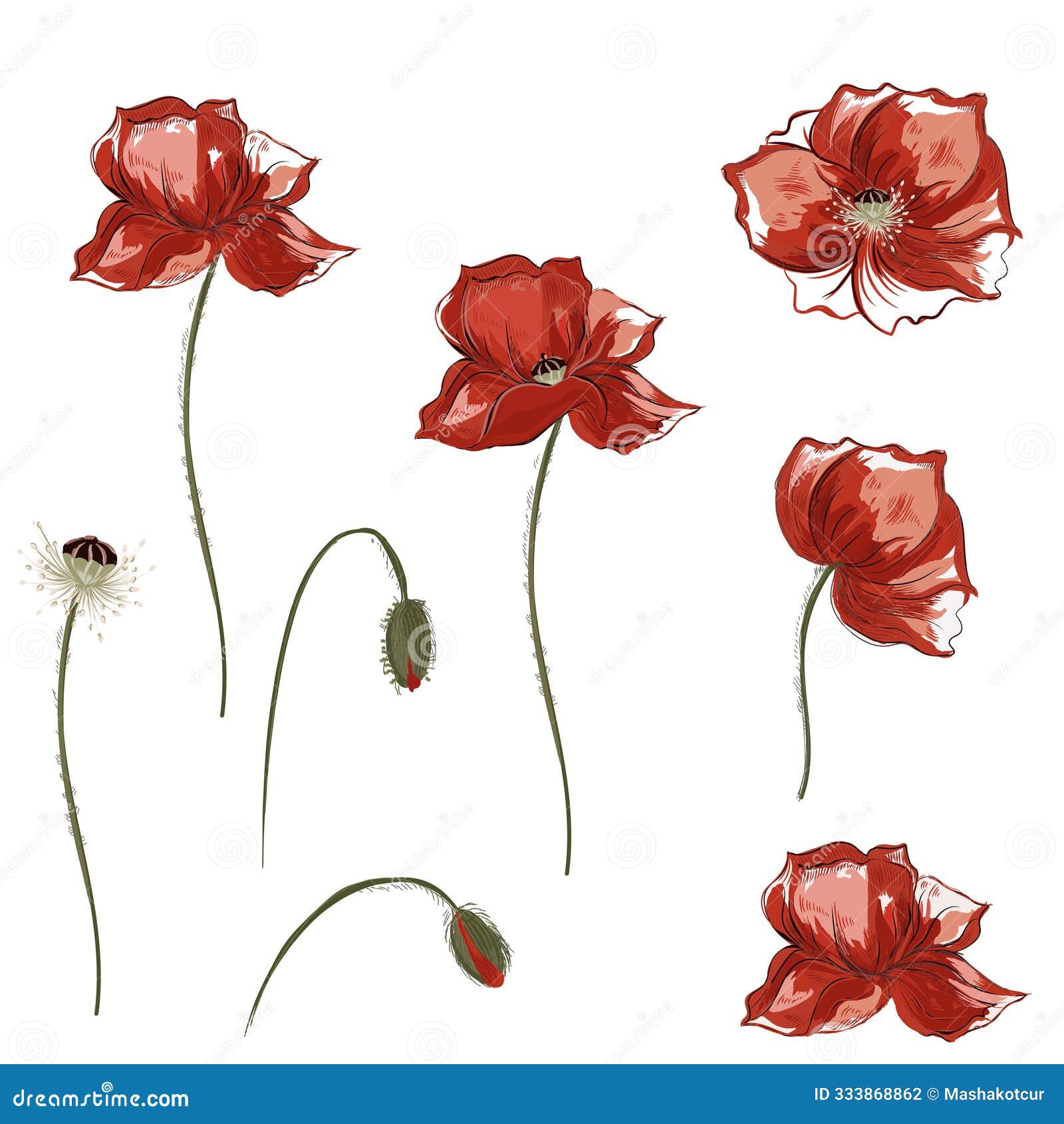 Collection of Vector Red Elegant Poppy Flowers Stock Vector ...