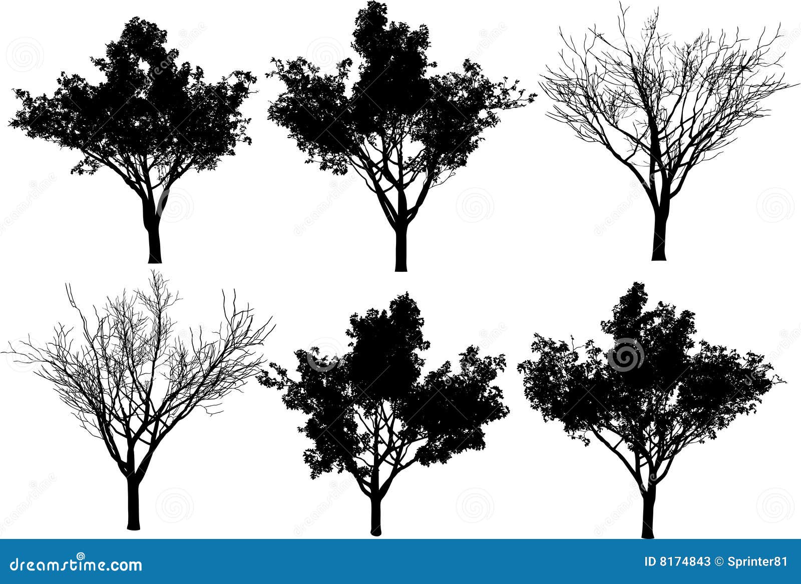 Collection vector trees stock vector. Illustration of botany - 8174843