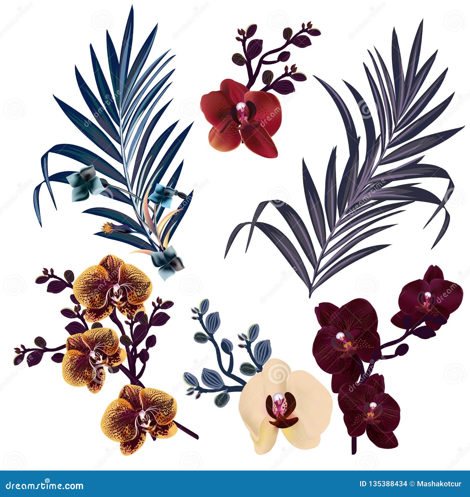 Collection of Vector Tropical Elements for Design Stock Vector ...