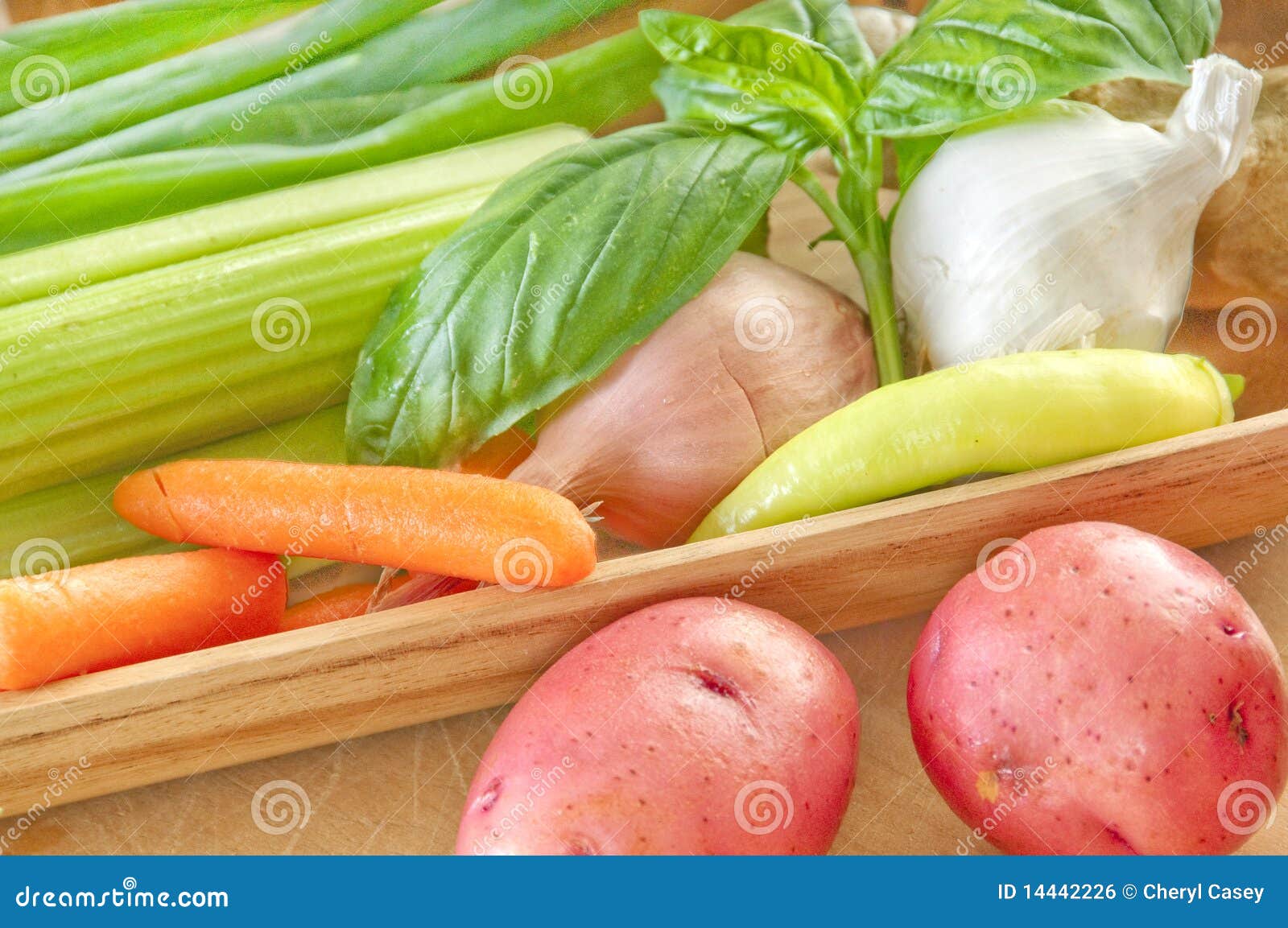 Collection of vegetables stock photo. Image of vegetables - 14442226