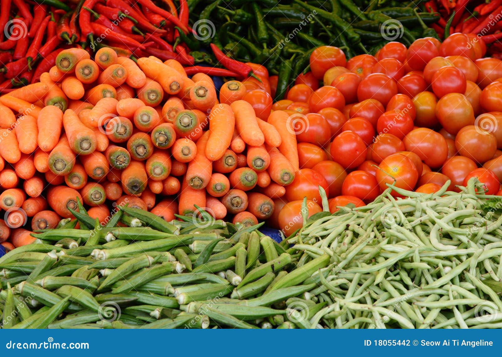 Collection of Vegetables stock photo. Image of vegetables - 18055442