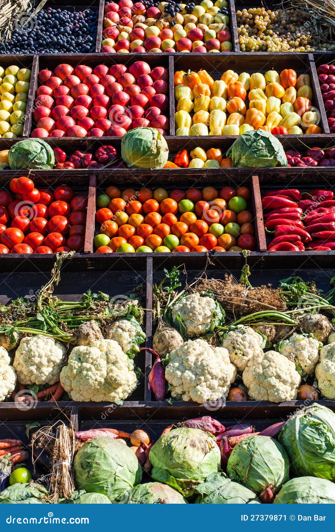 Collection of vegetables stock image. Image of garden - 27379871