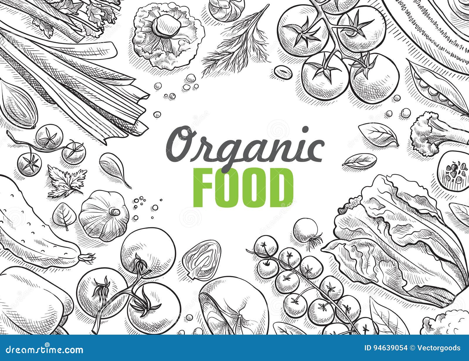 Collection of Vegetables Hand-drawn Stock Vector - Illustration of ...