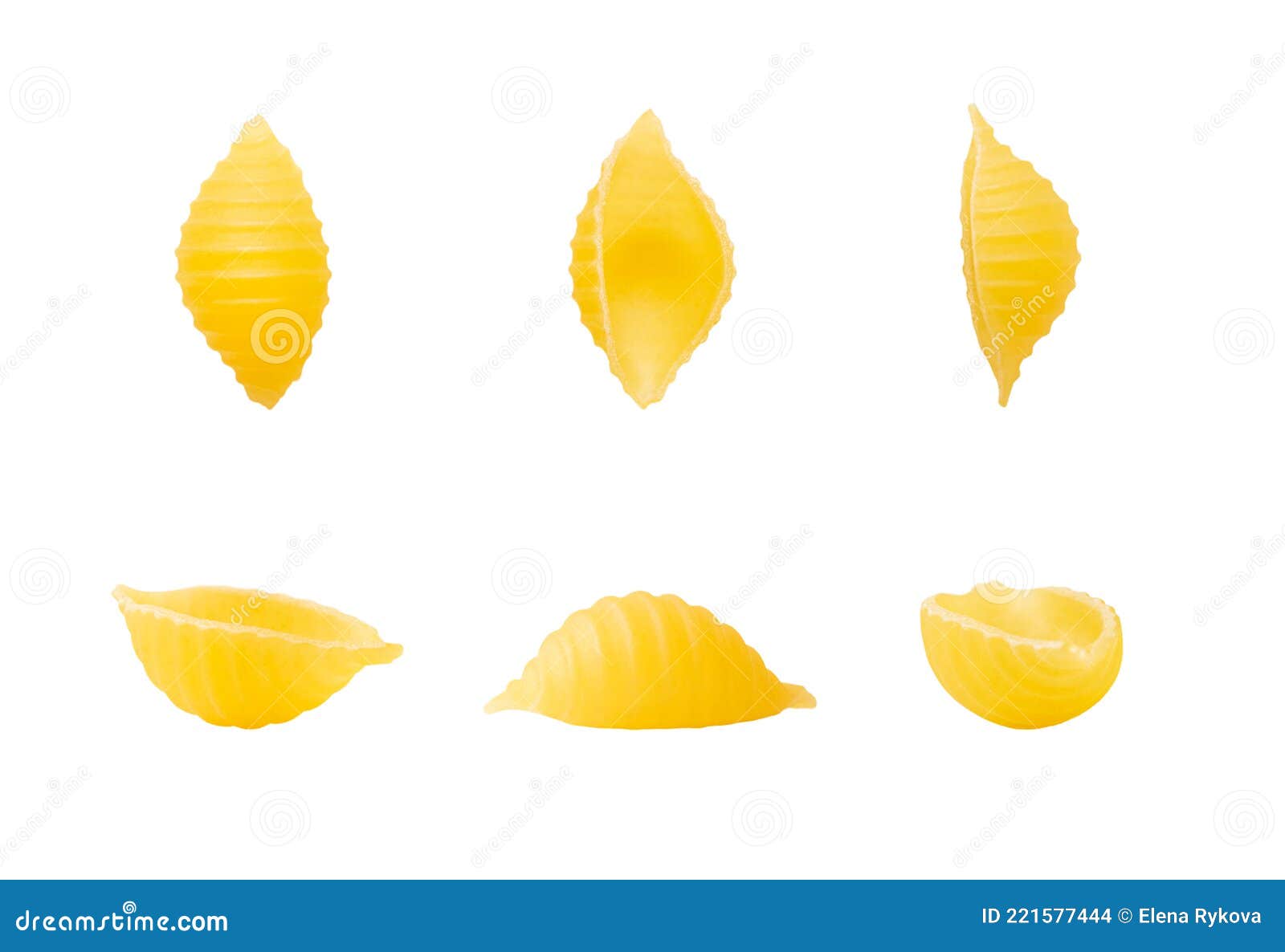 Collection of Views from All Angles on Seashell-shaped Pasta Isolated ...