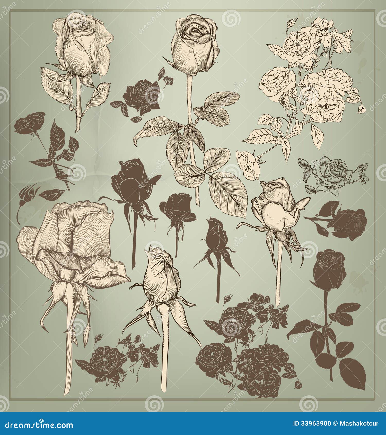 Collection Of Vintage Hand Drawn Roses For Design Stock Vector Illustration Of Greeting