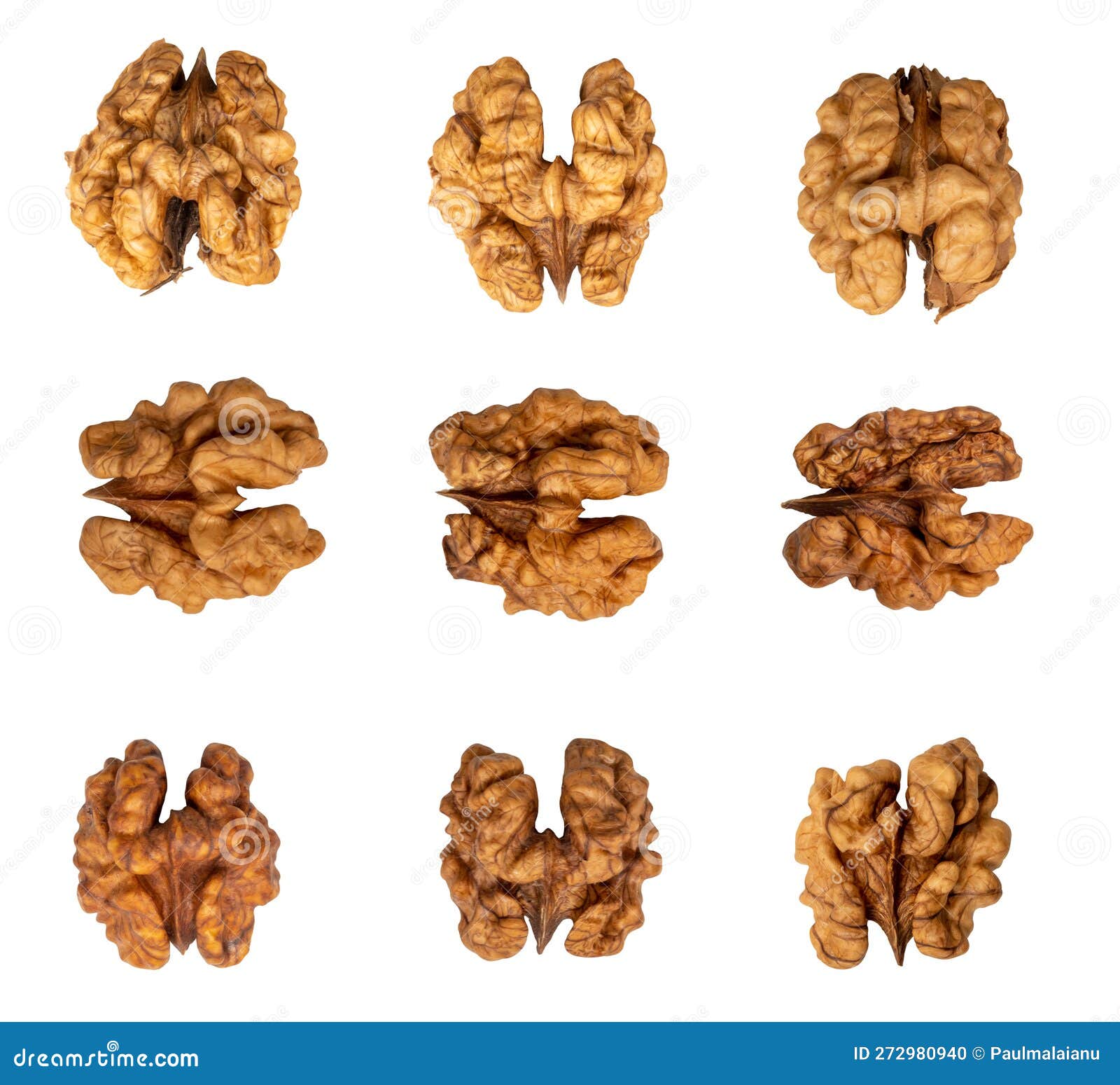 Collection of Walnut Kernels Isolated on Transparent Background Stock ...