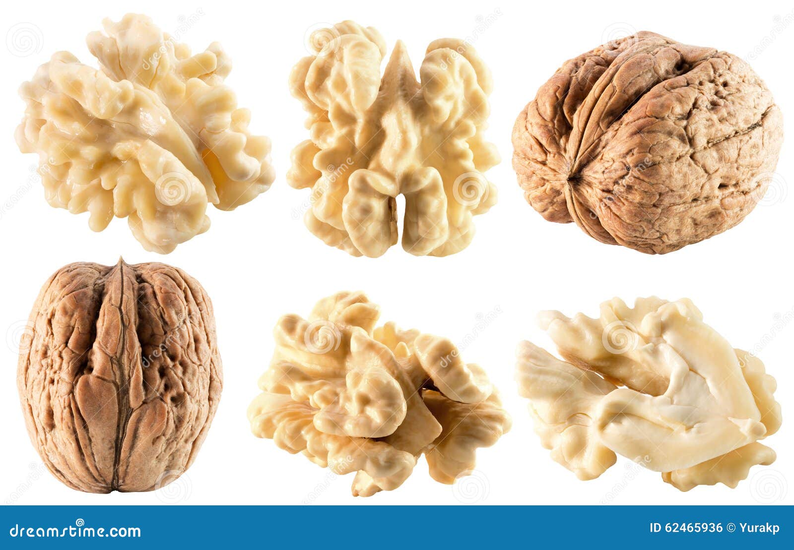 Collection of Walnuts Isolated on the White Background Stock Photo ...