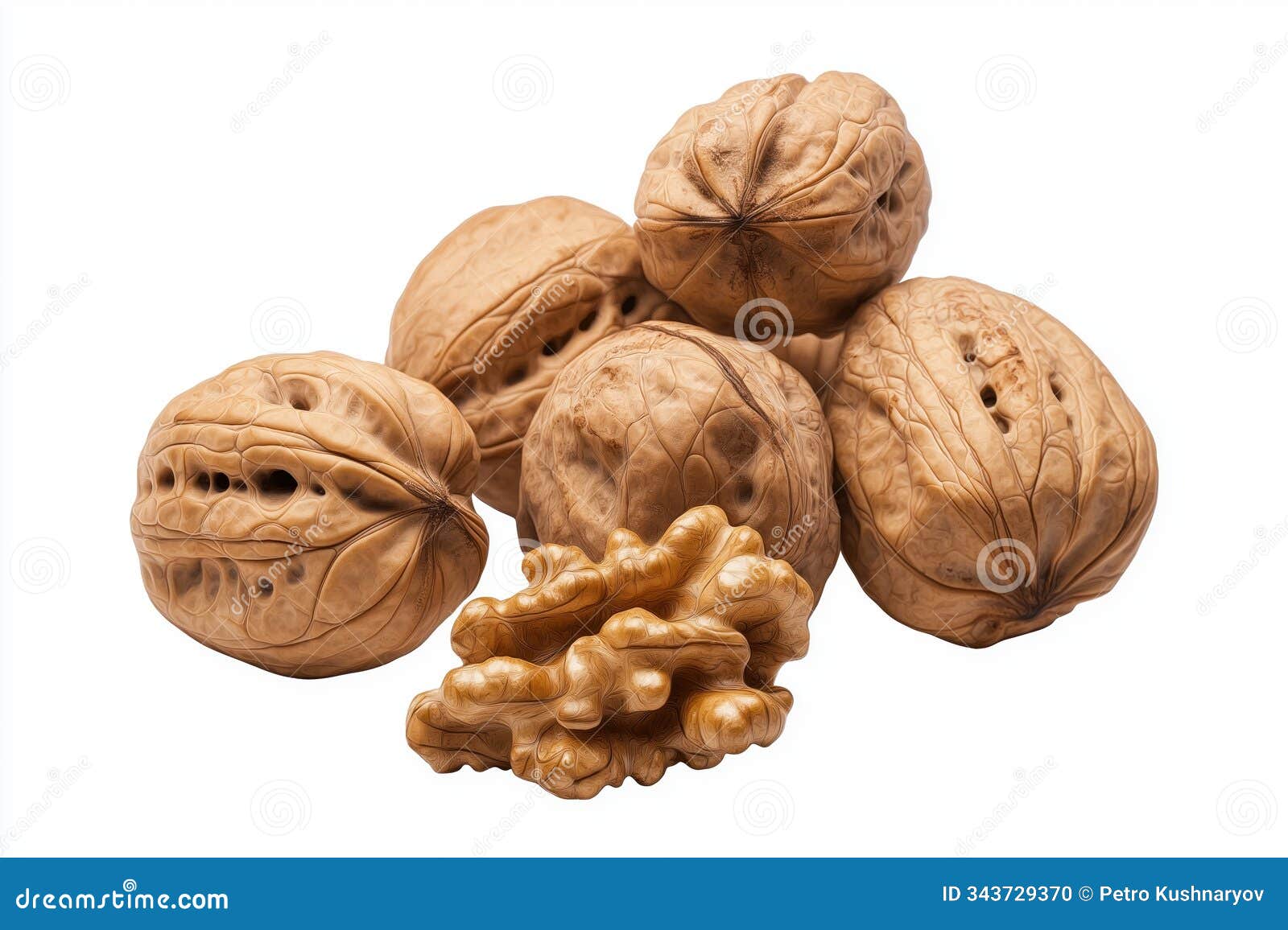Collection of Walnuts and Walnut Shell on Isolated Transparent ...