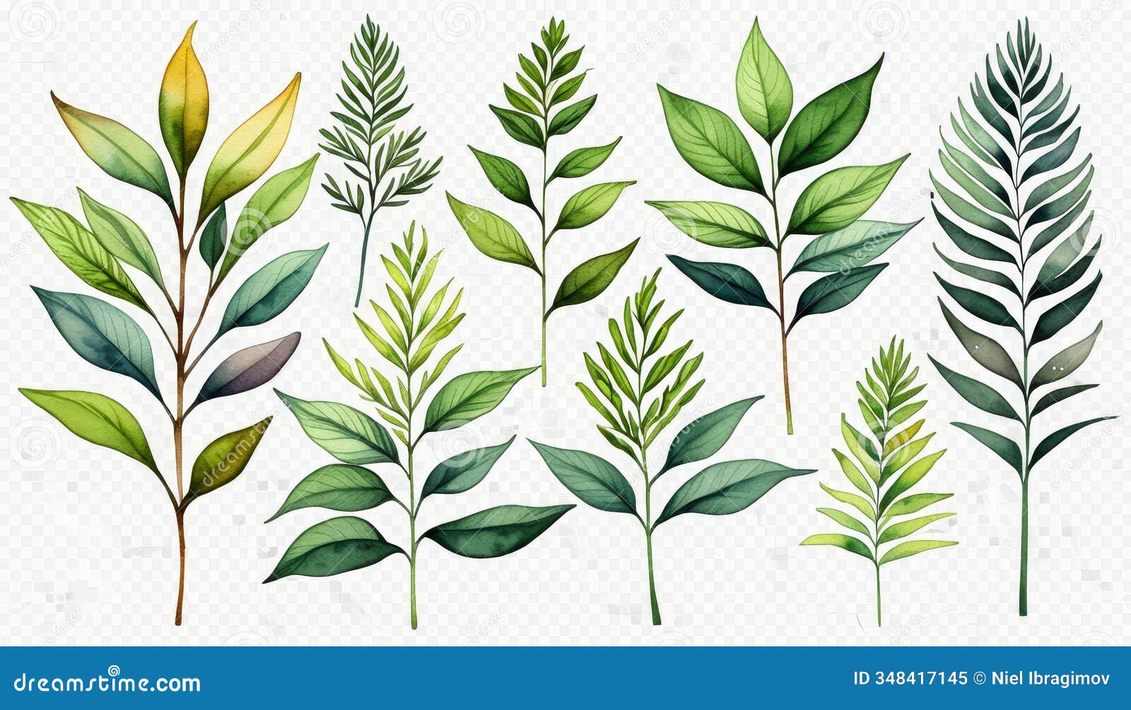 Collection of Watercolor Greenery Leaves with Transparent Background ...