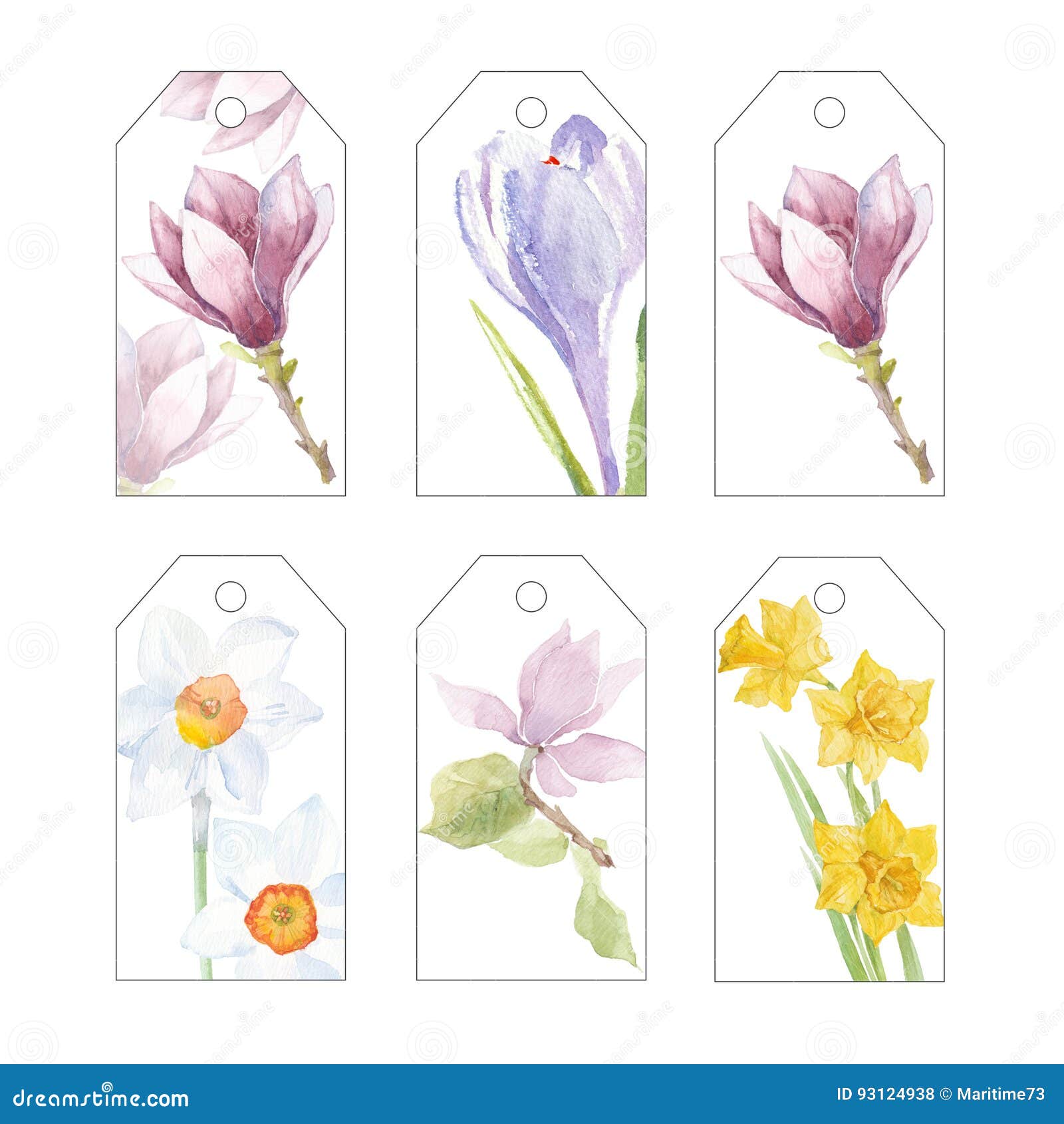Collection Watercolor Tags with Spring Flowers. Stock Illustration ...