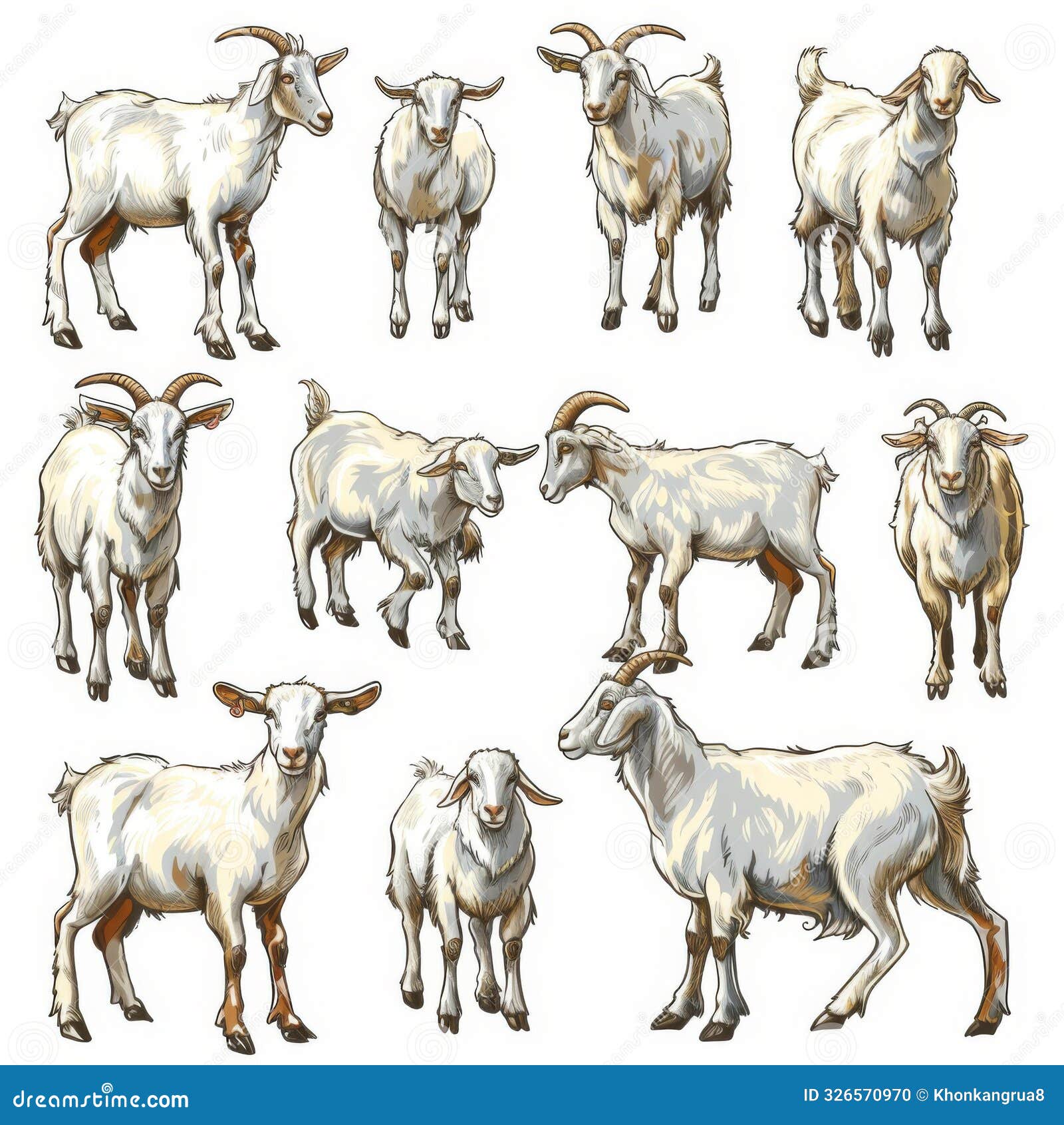 Collection of White Goats Illustrated in Multiple Poses and Expressions ...
