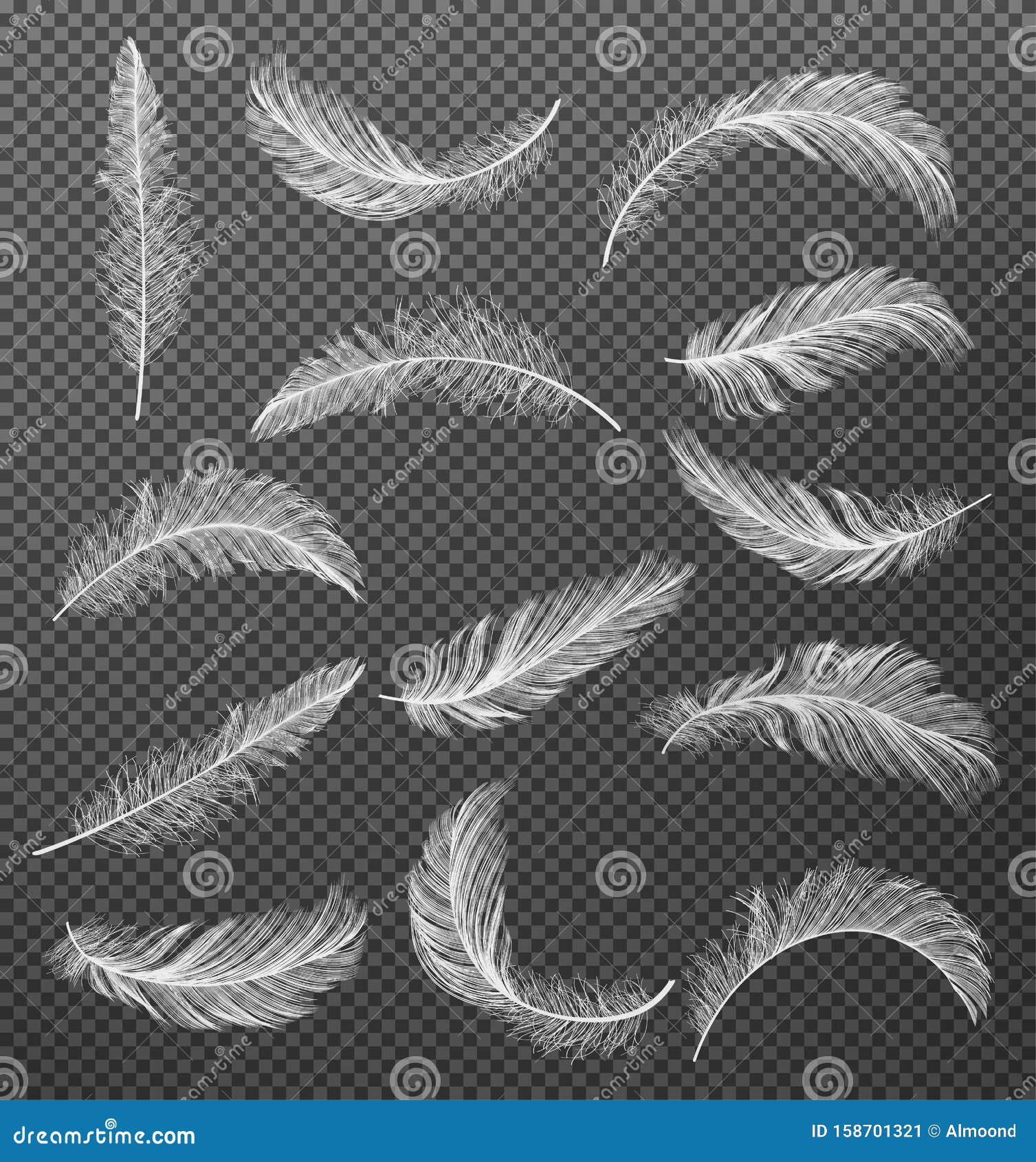 Falling Feathers Background. Realistic Isolated Fluffy Bird White ...