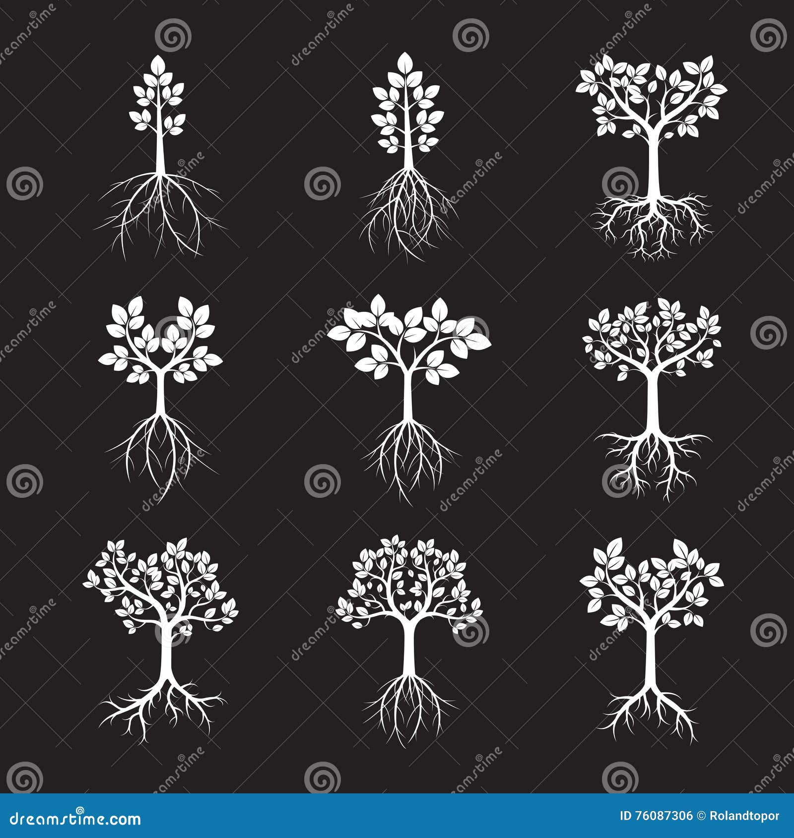 Collection of White Trees and Roots. Vector Illustration. Stock Vector ...