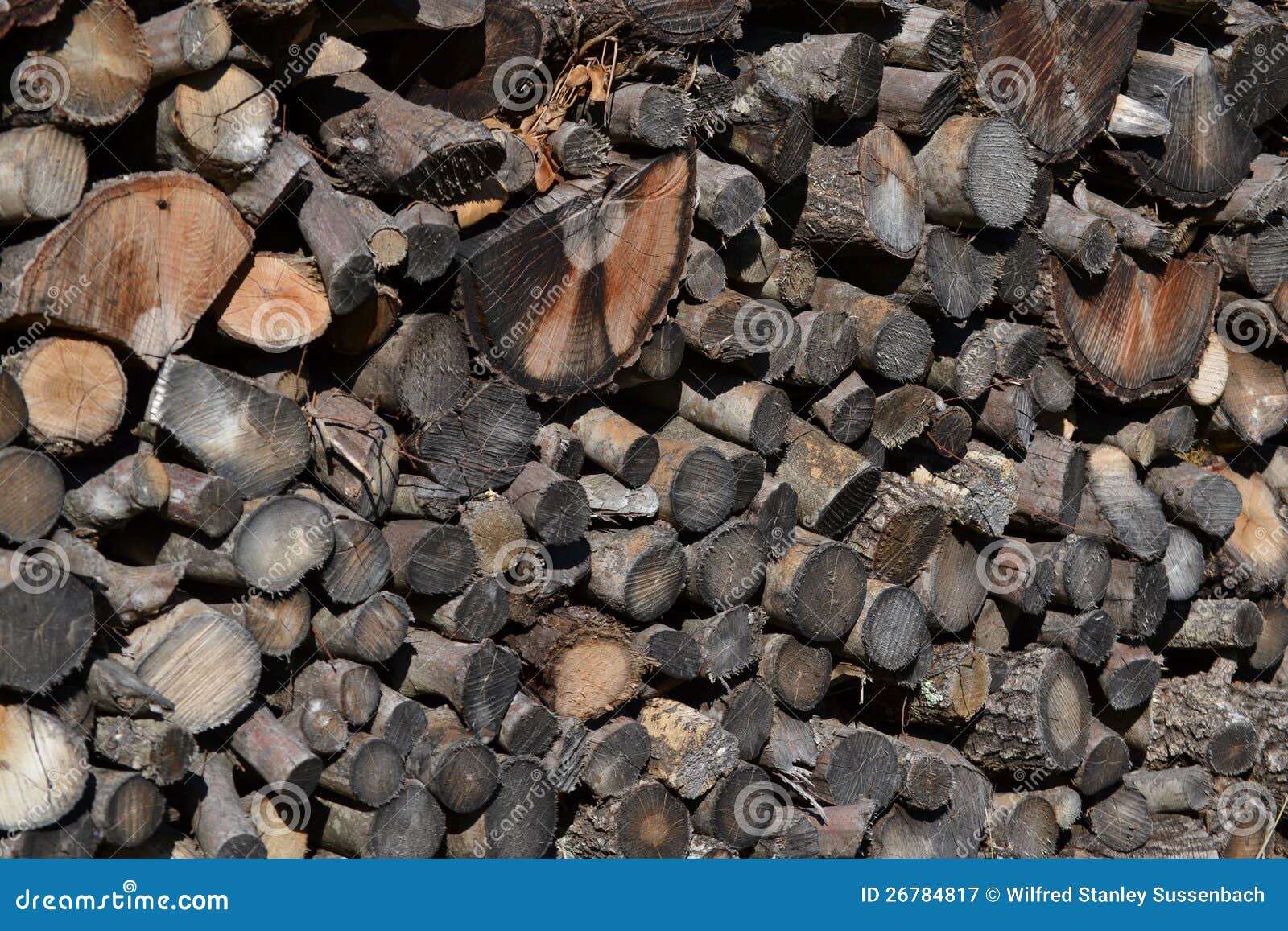 A collection of wood stock image. Image of round, brown - 26784817