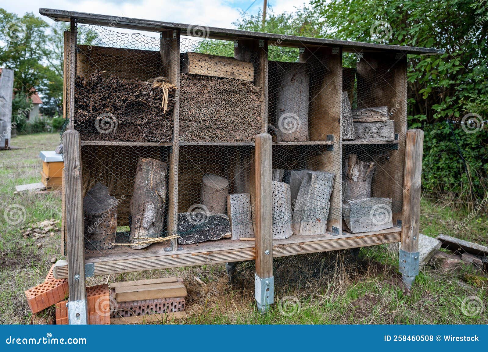 Collection of Wooden Bee Boxes with Tree Branches in Nature Stock Photo ...